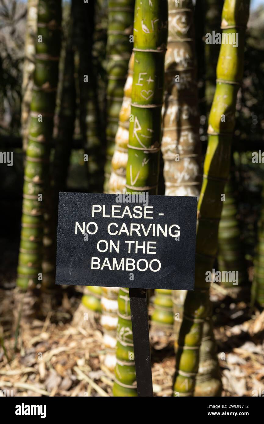 A sign reading "please no carving on the bamboo" in front of bamboo ...