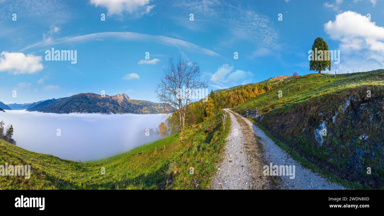 Sunny idyllic autumn alpine scene. Peaceful misty morning Alps mountain ...