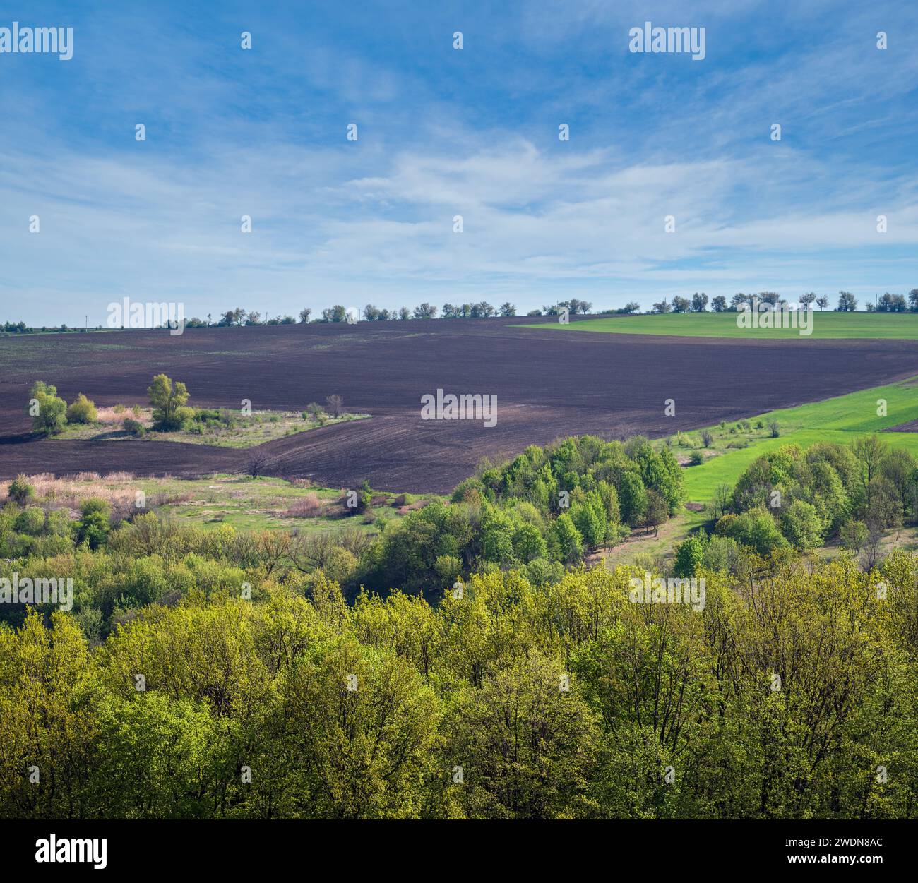 Spring rural landscape with fields, farmlands, village outskirts ...