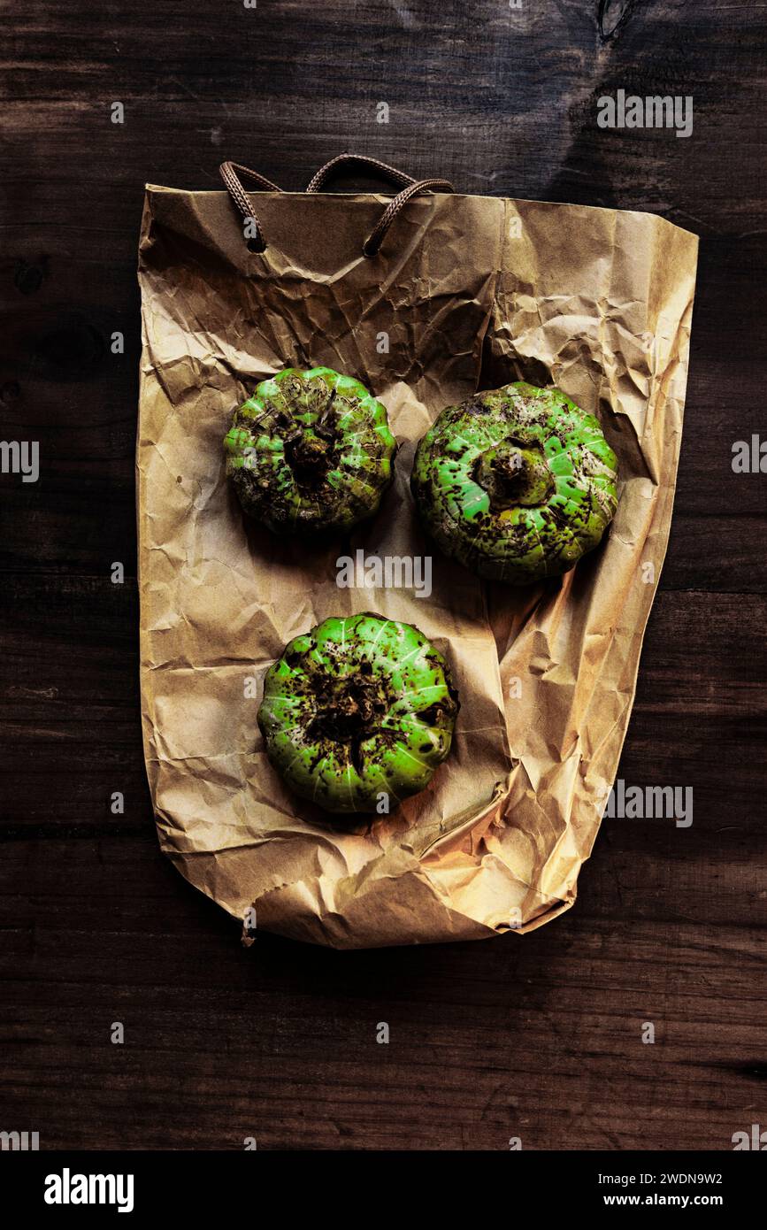 Sandbox tree fruit hi-res stock photography and images - Alamy