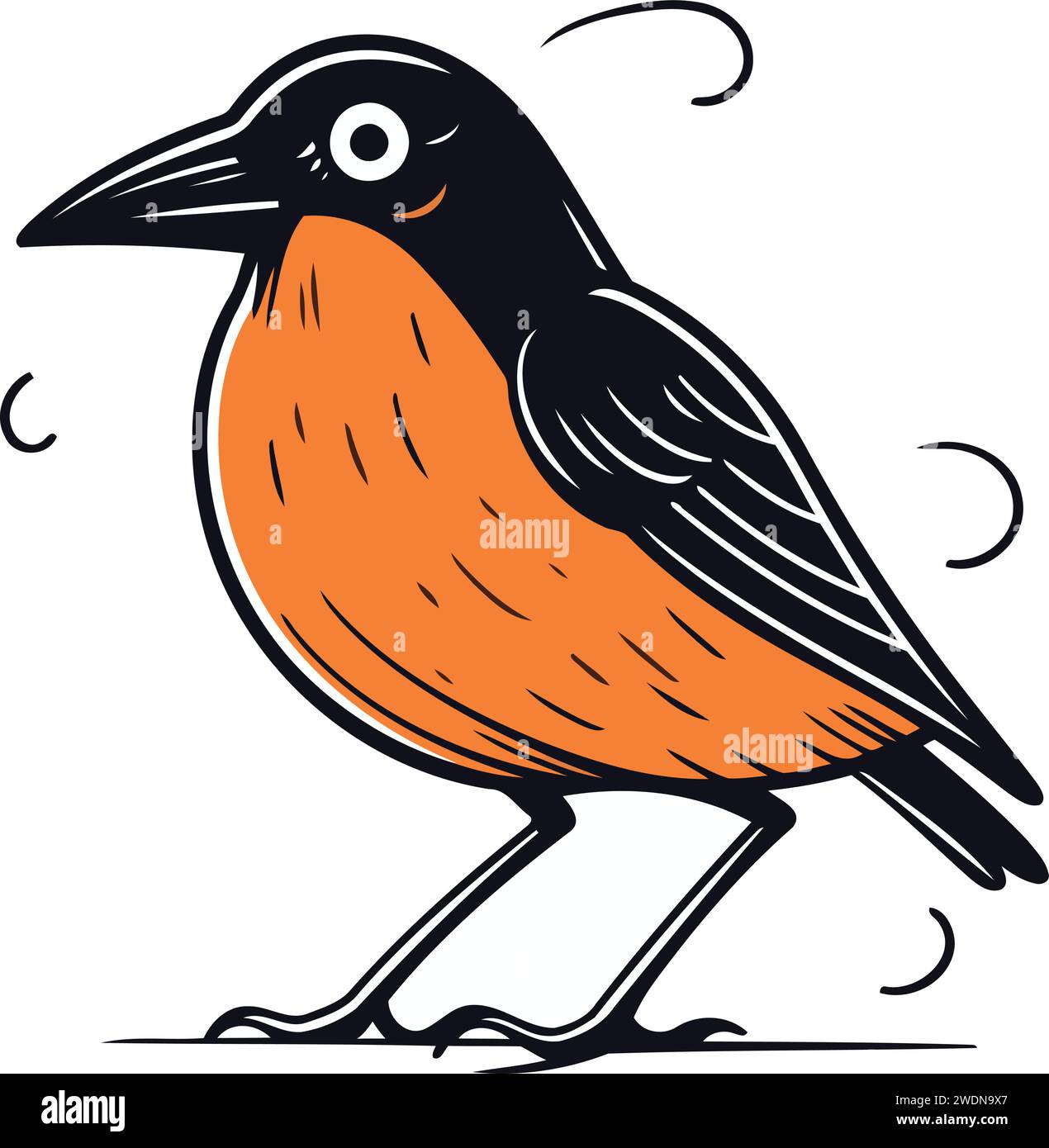 The black drongo Stock Vector Images - Alamy