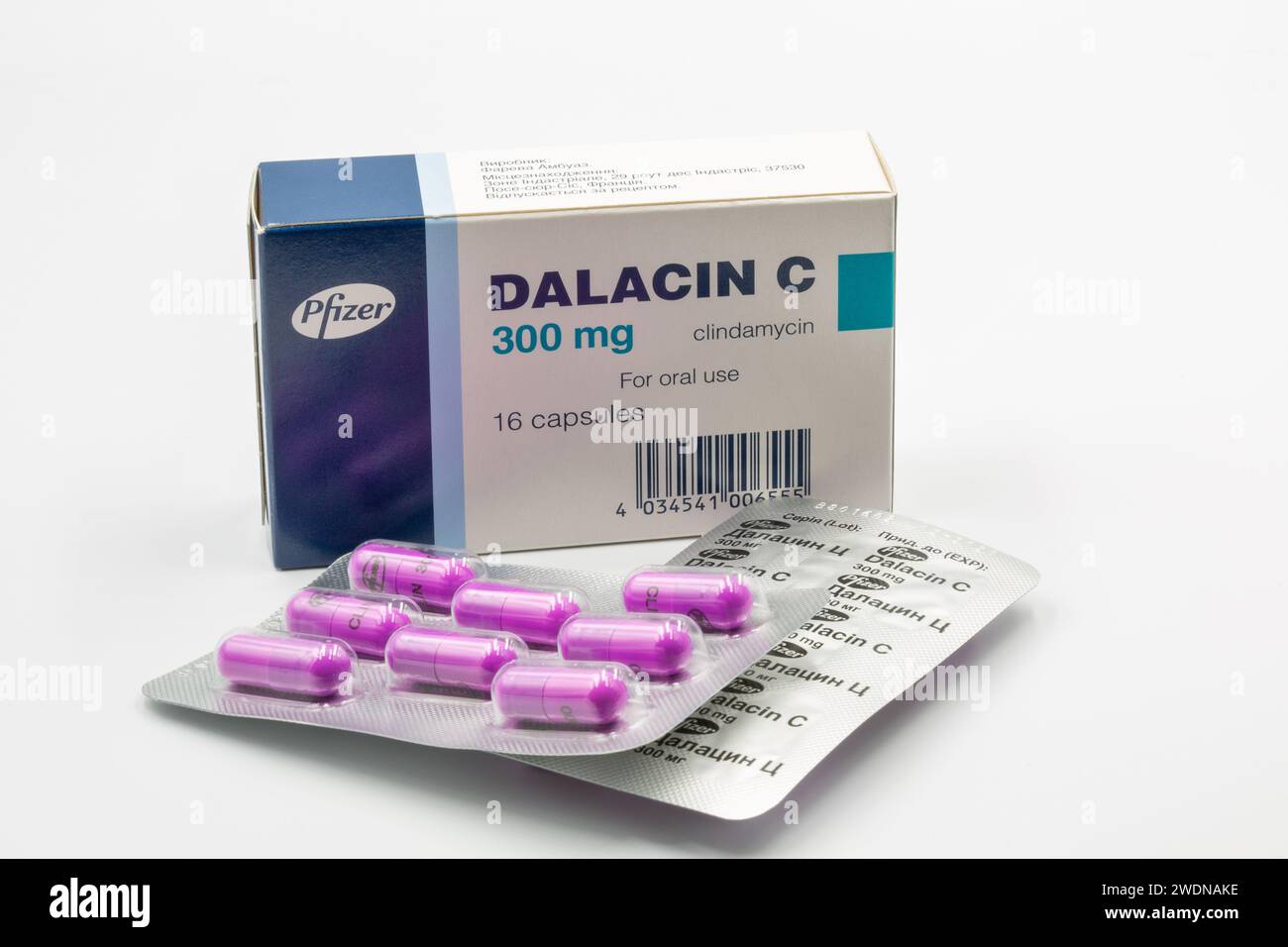 Staphylococcus aureus capsule hi-res stock photography and images - Alamy