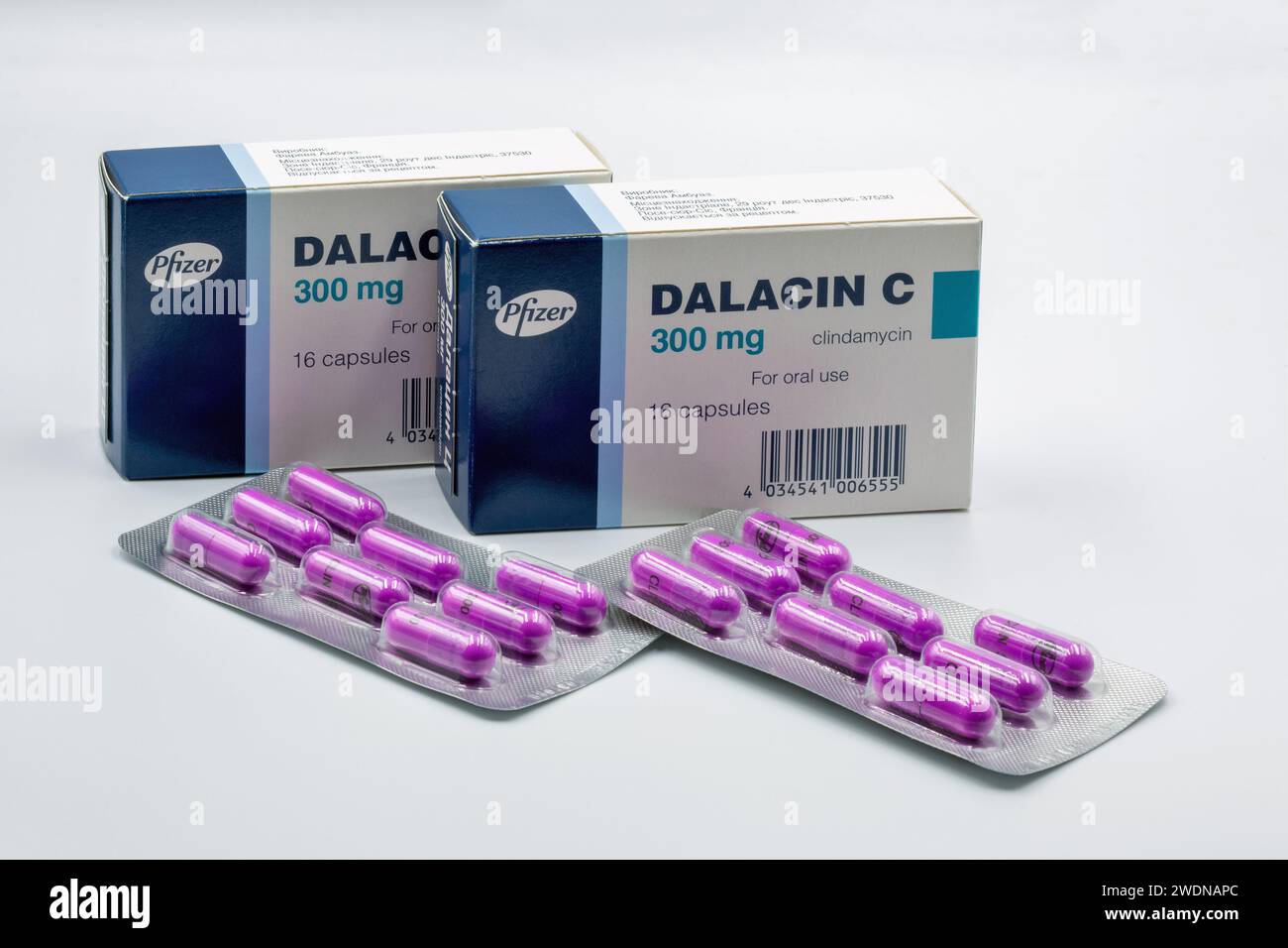 Staphylococcus aureus capsule hi-res stock photography and images - Alamy