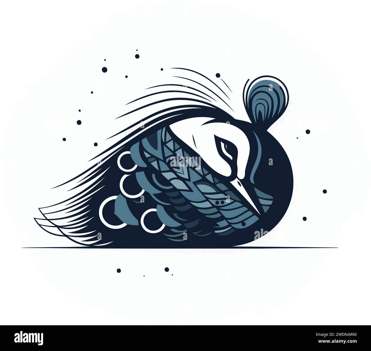 Peacock head feather Stock Vector Images - Alamy