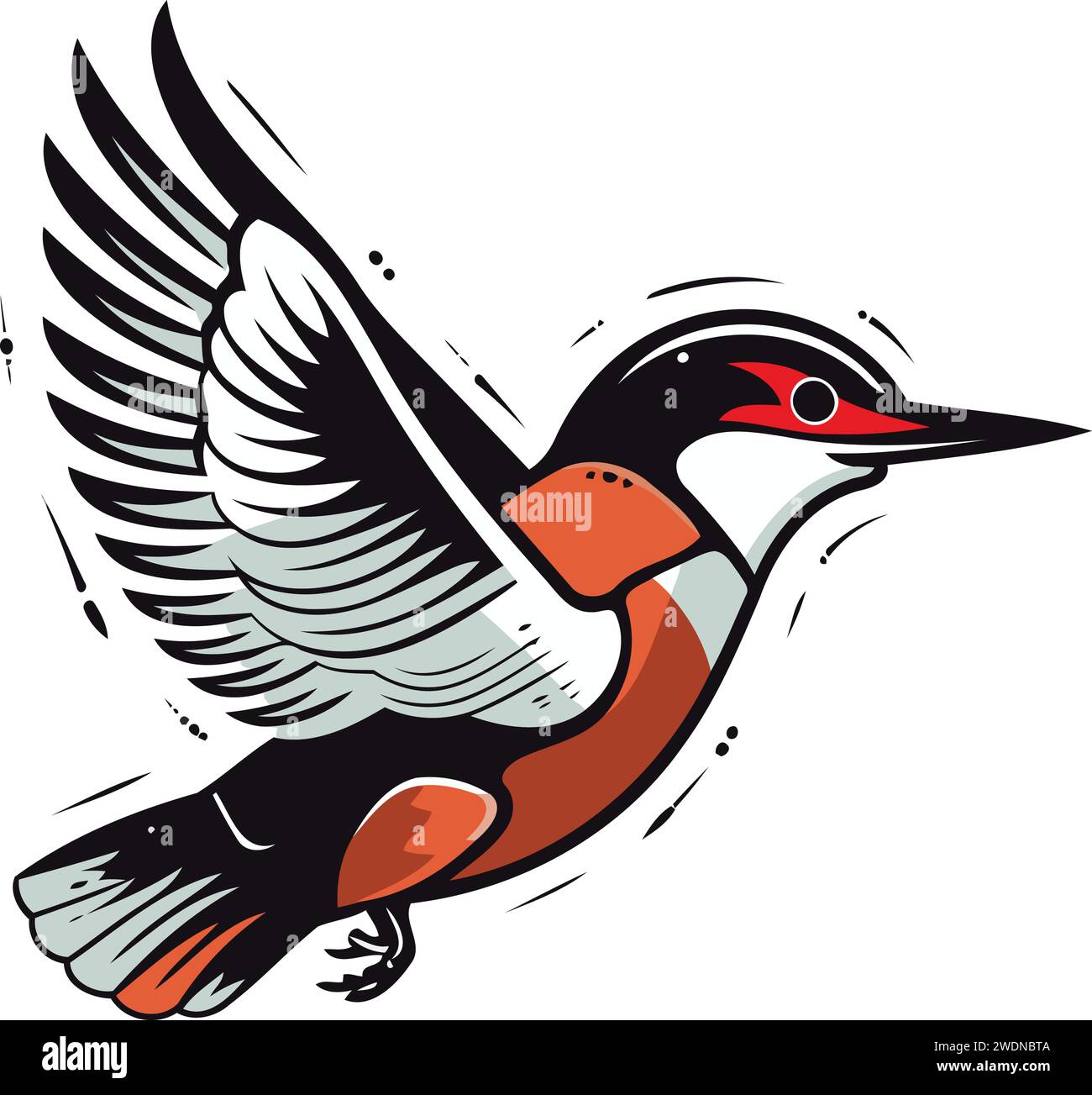 Flying kingfisher vector Stock Vector Images - Alamy
