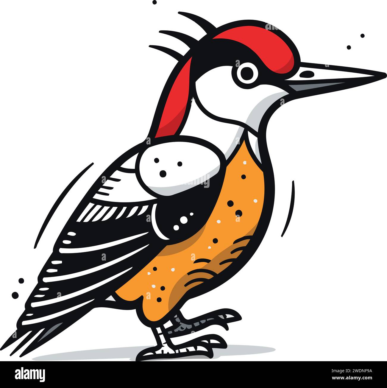 Dendrocopos Major Great Spotted Woodpecker Vector Illustration Stock Vector Image And Art Alamy