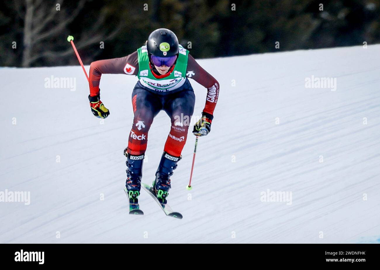 Kananaskis, Canada. 21st Jan, 2024. Canada's Hannah Schmidt skis during ...