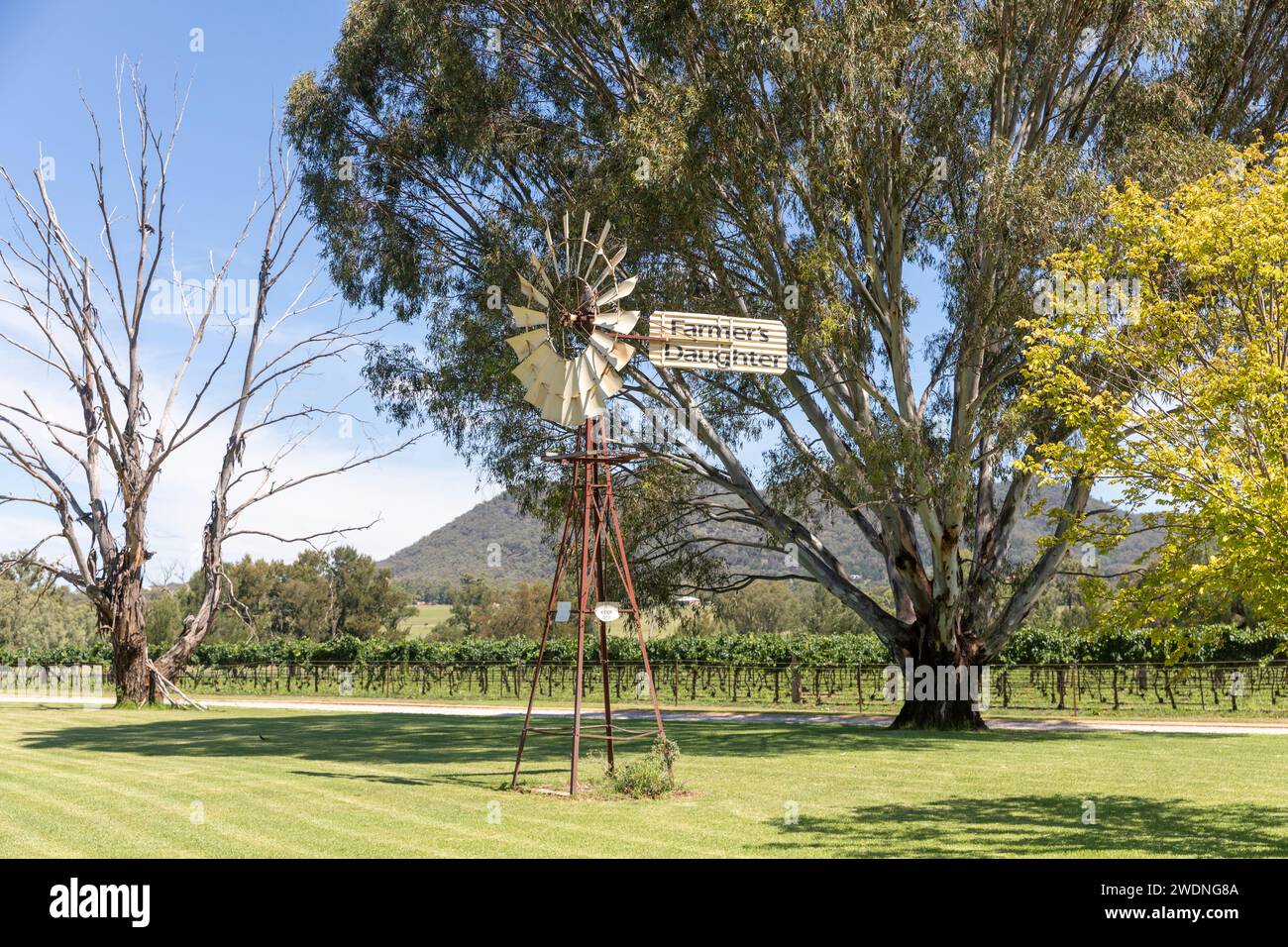 Mudgee wine region and vineyard in Australia, Farmers Daughter sign on ...