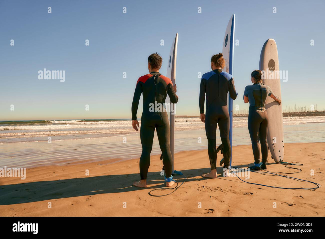 Back view of surfers in wetsuits standing with surfboards and looking ...