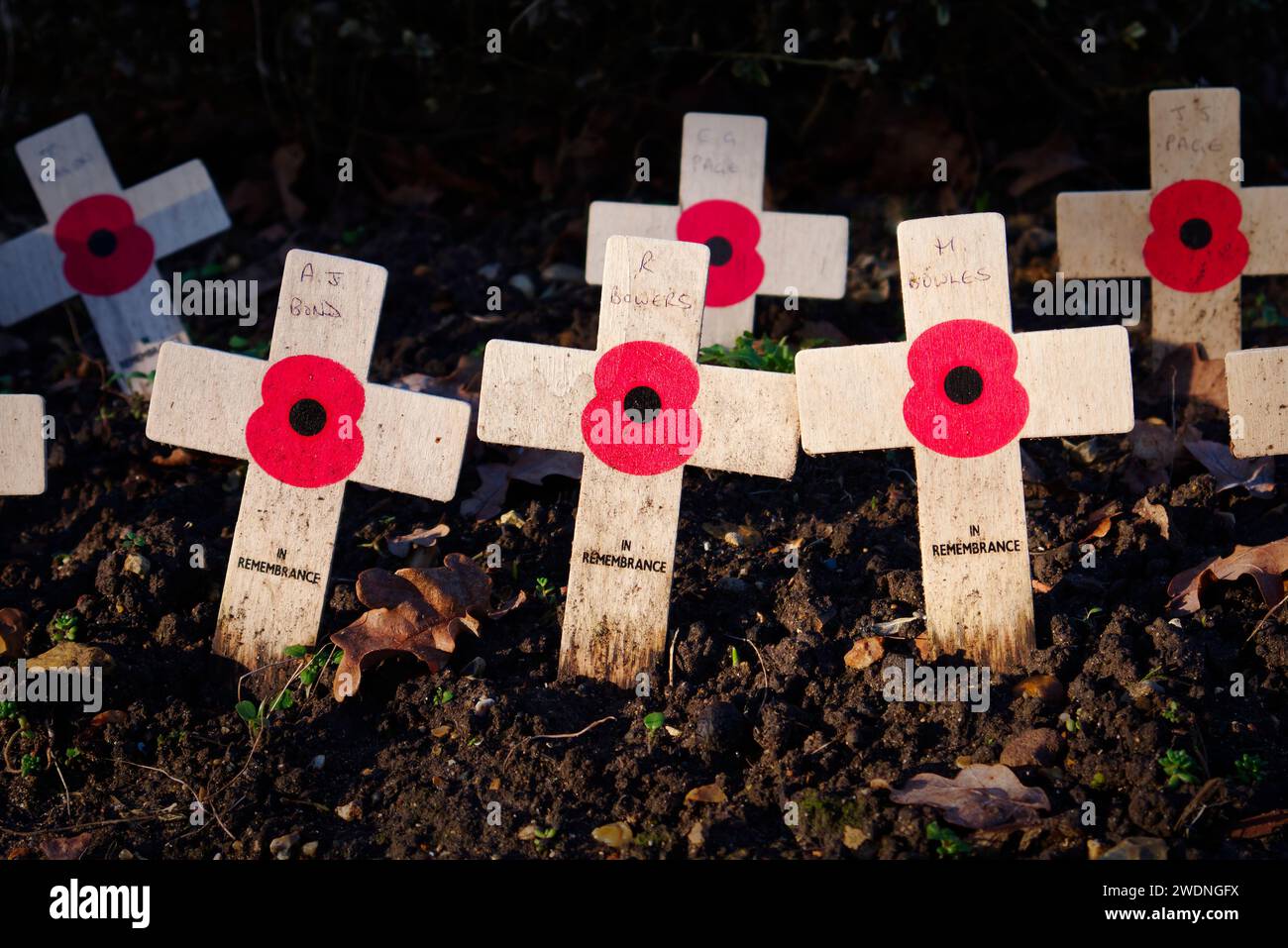 Three Wooden Poppy Remembrance Crosses at Fenstanton Cemetery ...
