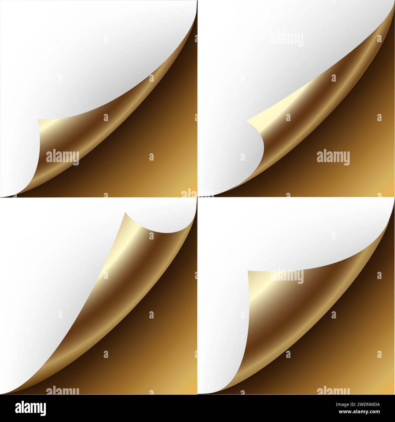 realistic vector illustration. Curled golden paper corners Stock Vector ...