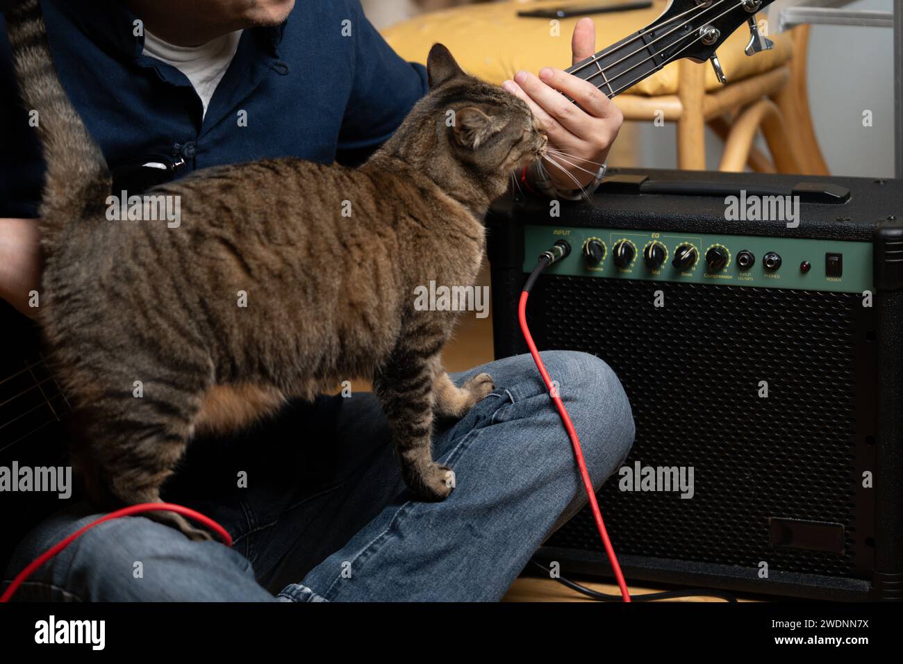 Electric bass hi-res stock photography and images - Alamy
