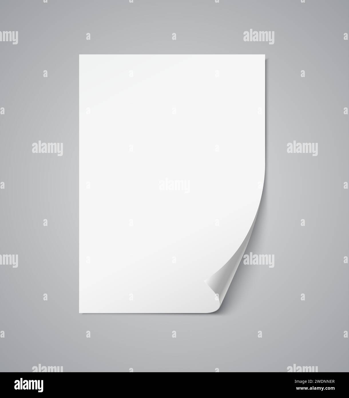 realistic vector illustration. Curled paper on gray background Stock ...