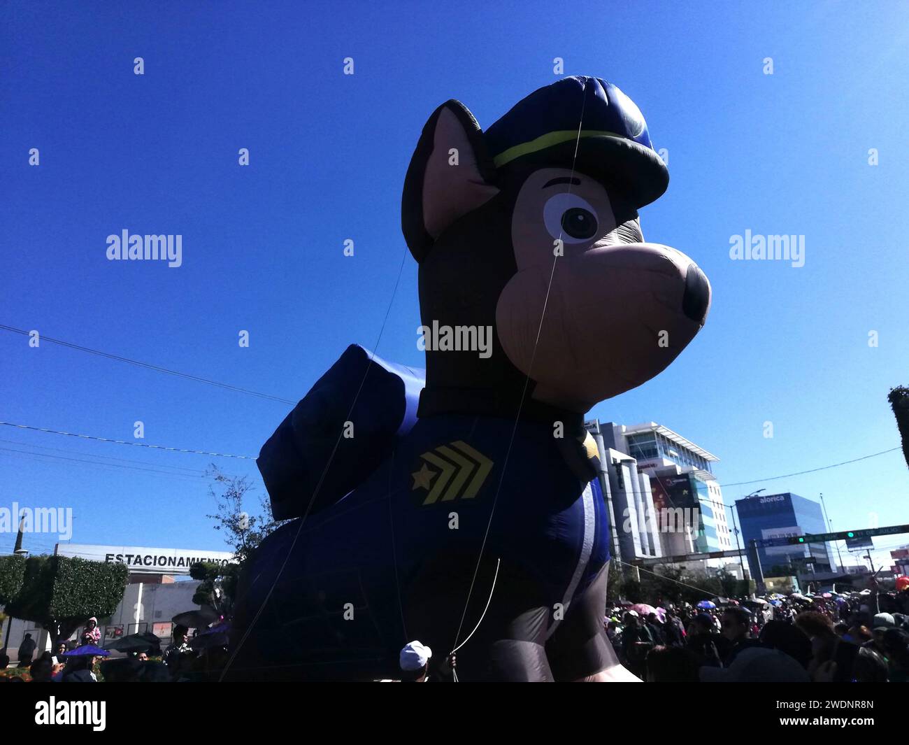 Leon, Mexico. Jan 21, 2024. Paw patrol police dog during the Leon ...