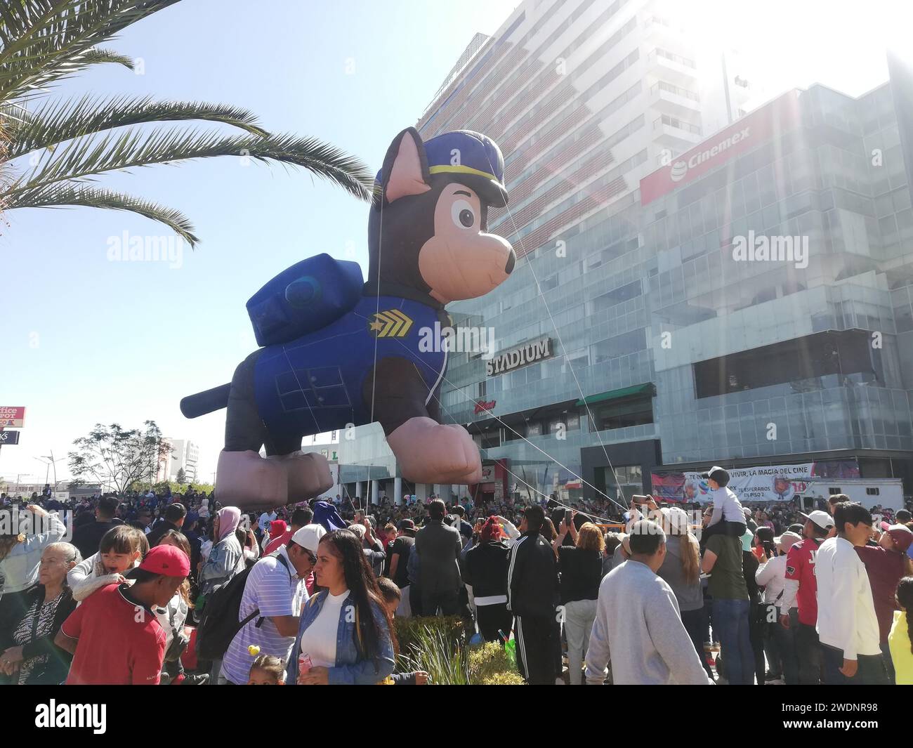 Leon, Mexico. Jan 21, 2024. Paw patrol police dog during the Leon ...