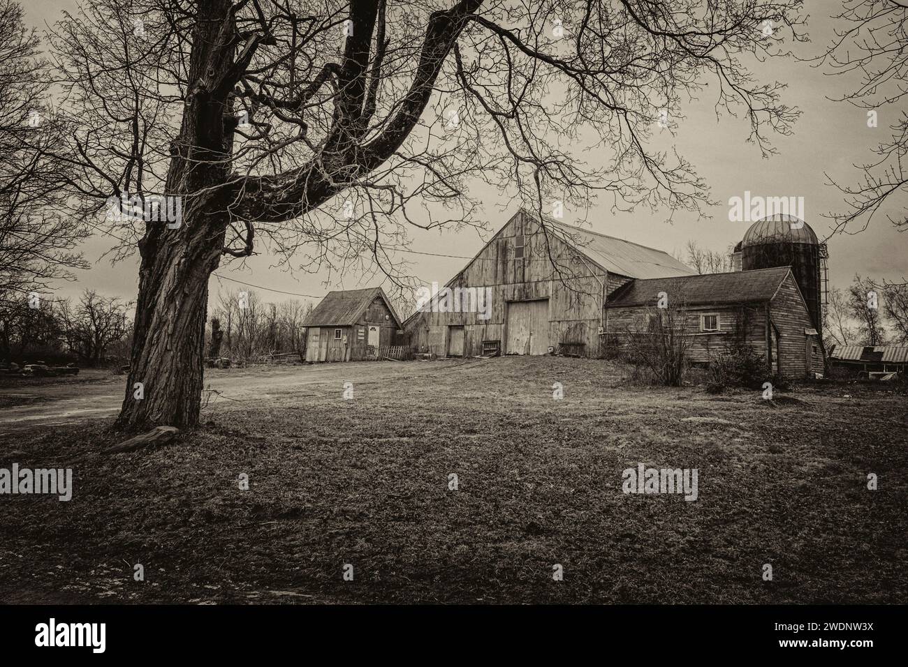 An old barn in a rural town in Massachusetts Stock Photo - Alamy