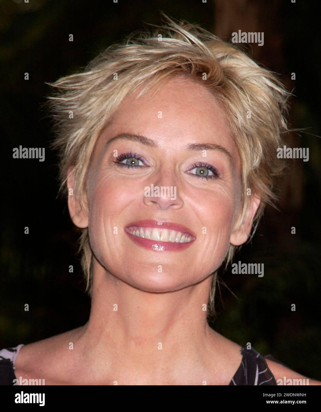 June 16, 2004, Hollywood, California, USA: Red carpet arriving all ...