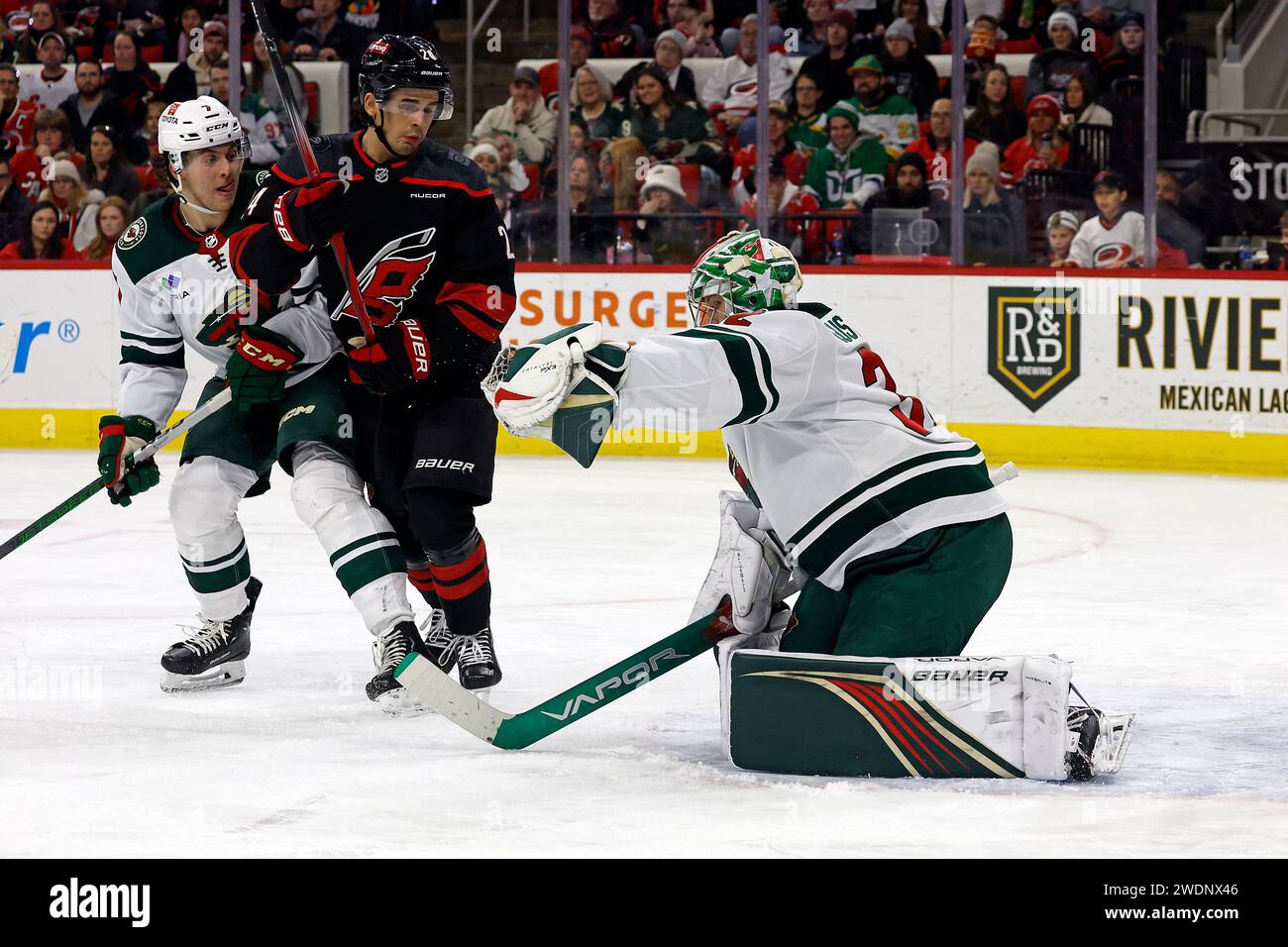 Minnesota Wild goaltender Filip Gustavsson, right, snares the puck in ...