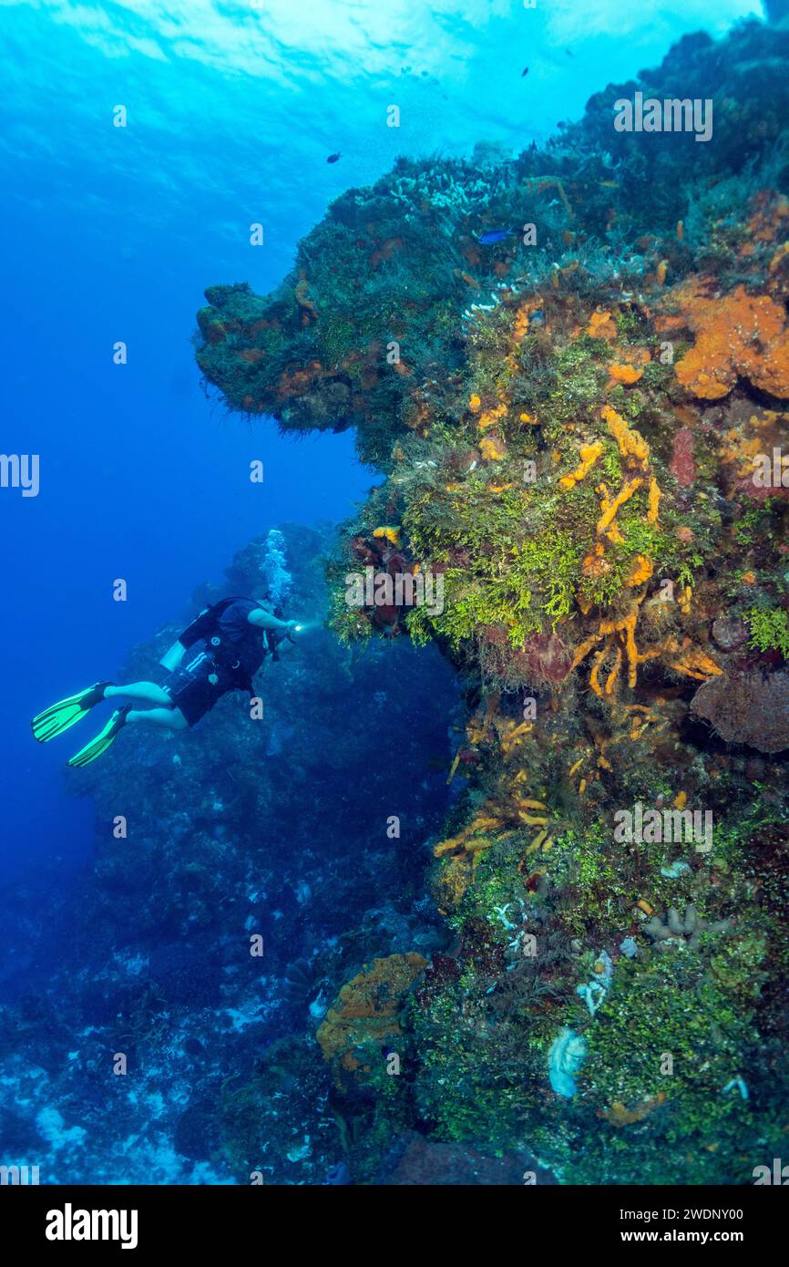 Scuba diving photos, Cozumel Stock Photo - Alamy
