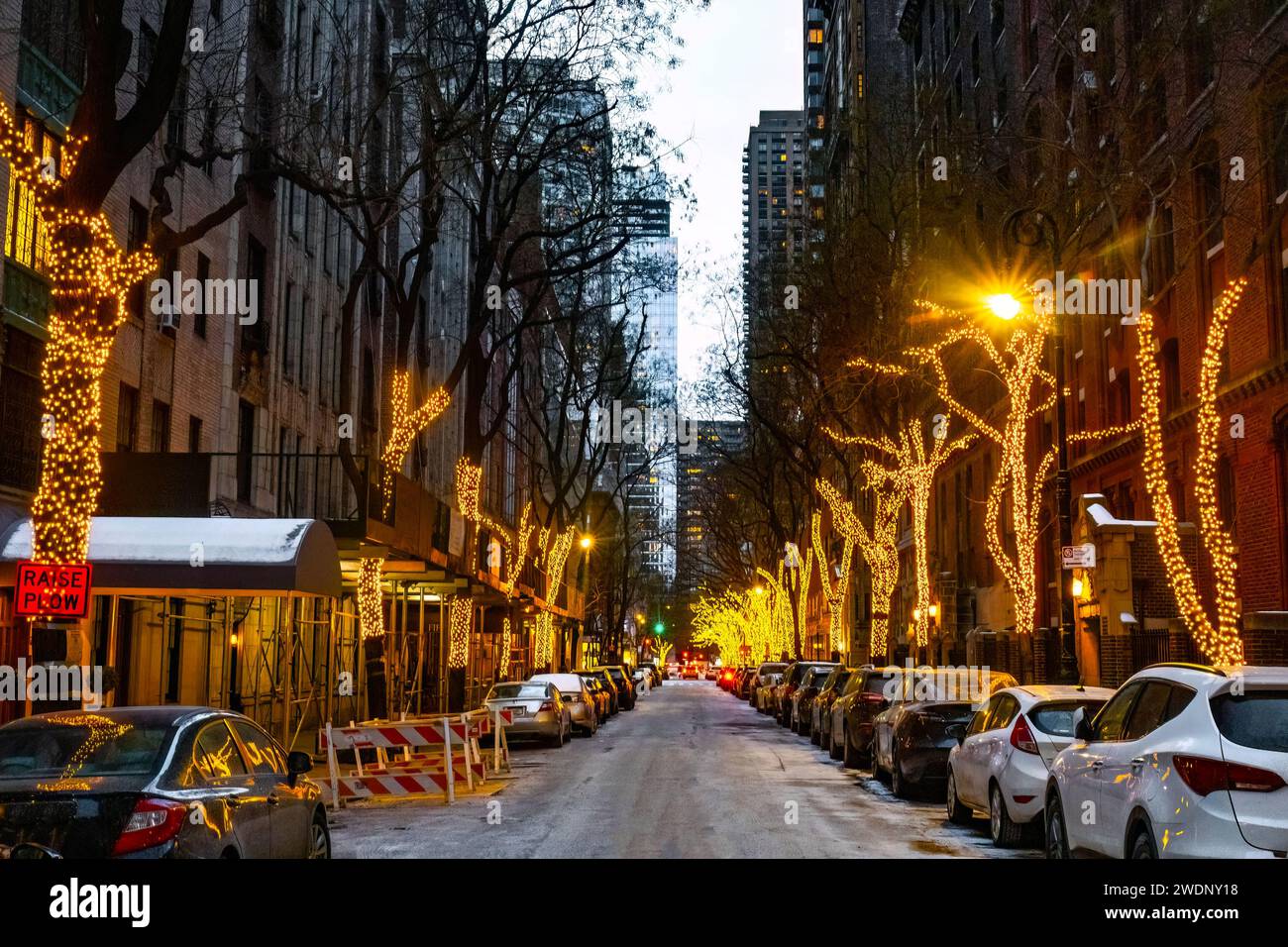 Beautiful lights decoration of trees on Upper west side street in New ...