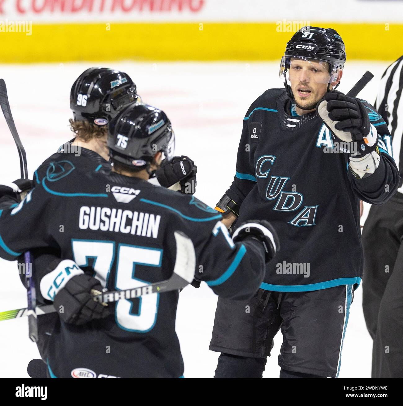Loveland, Colorado, USA. 20th Jan, 2024. Barracudas F DANIL GUSHCHIN ...