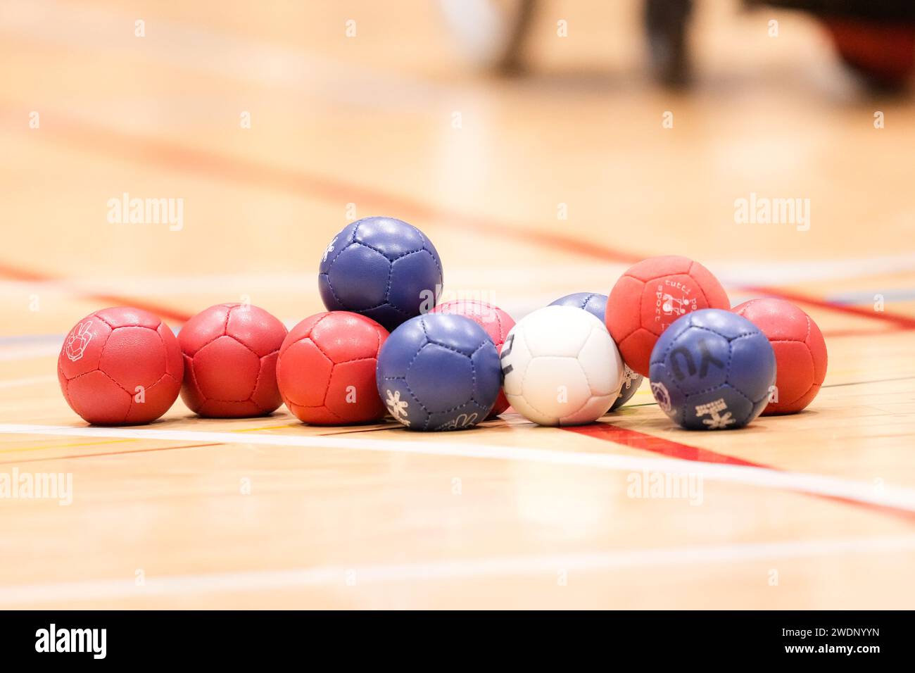 Tokyo, Japan. 21st Jan, 2024. General View Boccia : Men's BC2 3rd Place ...