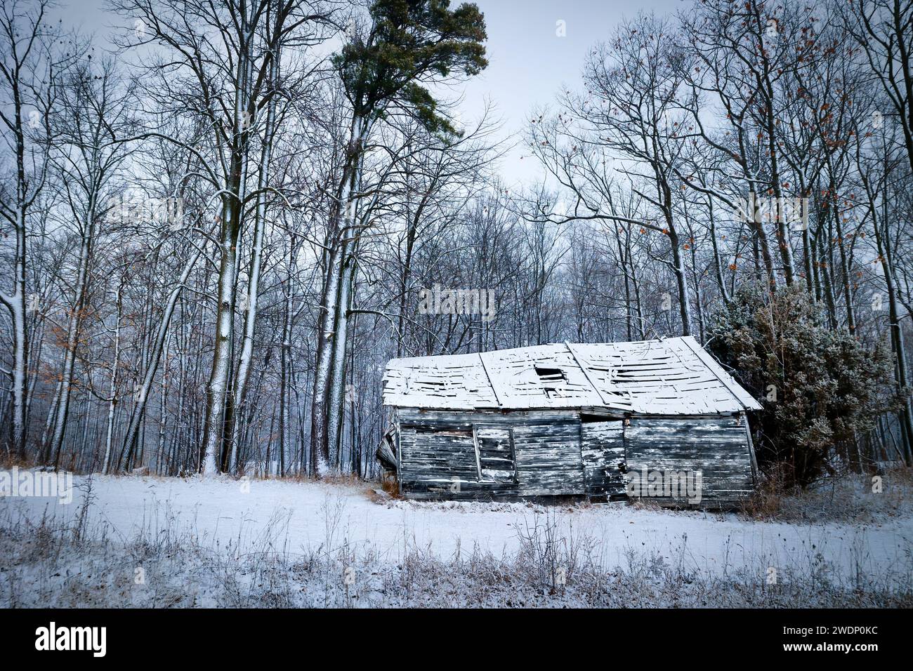 Snow falls on the remains of a house or cabin in Manitowoc County ...