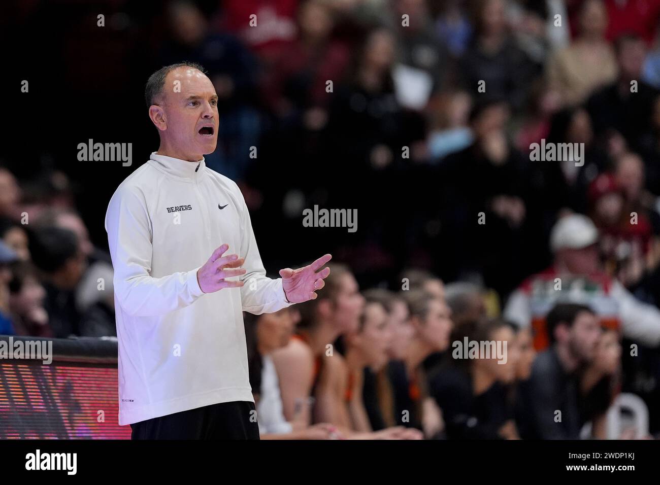 Oregon State head coach Scott Rueck reacts during the second half of an ...