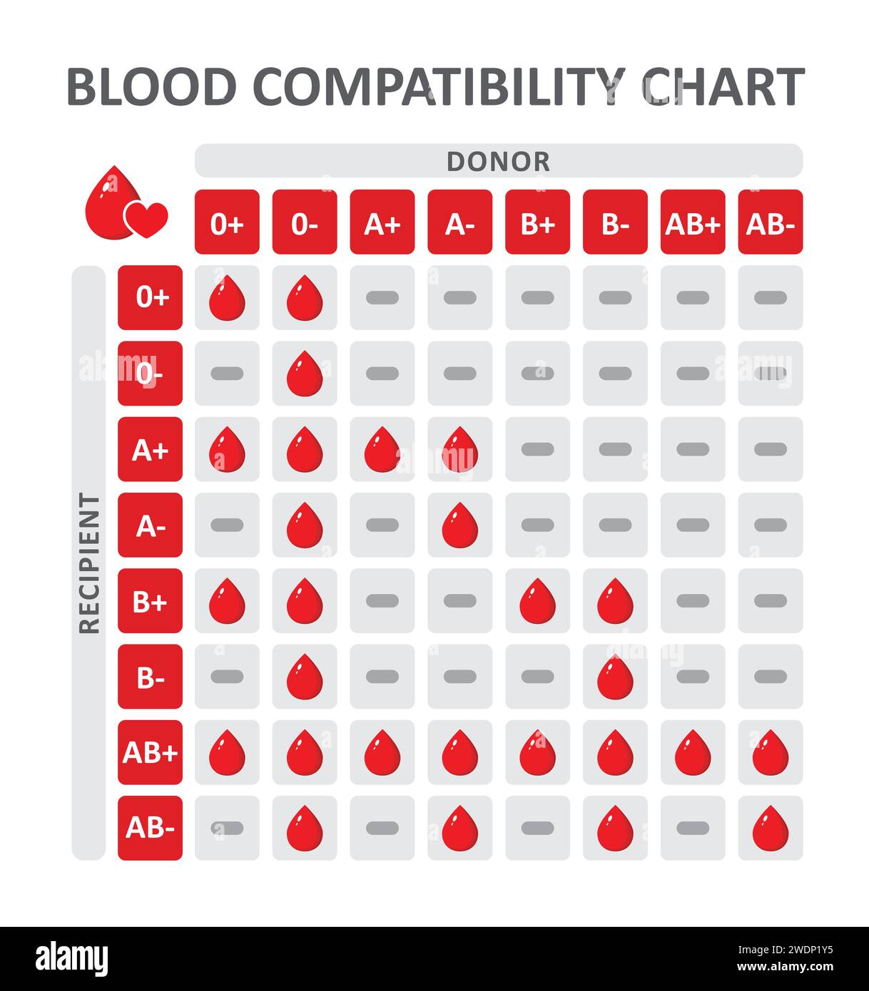 Blood group compatibility table Stock Vector Image & Art - Alamy