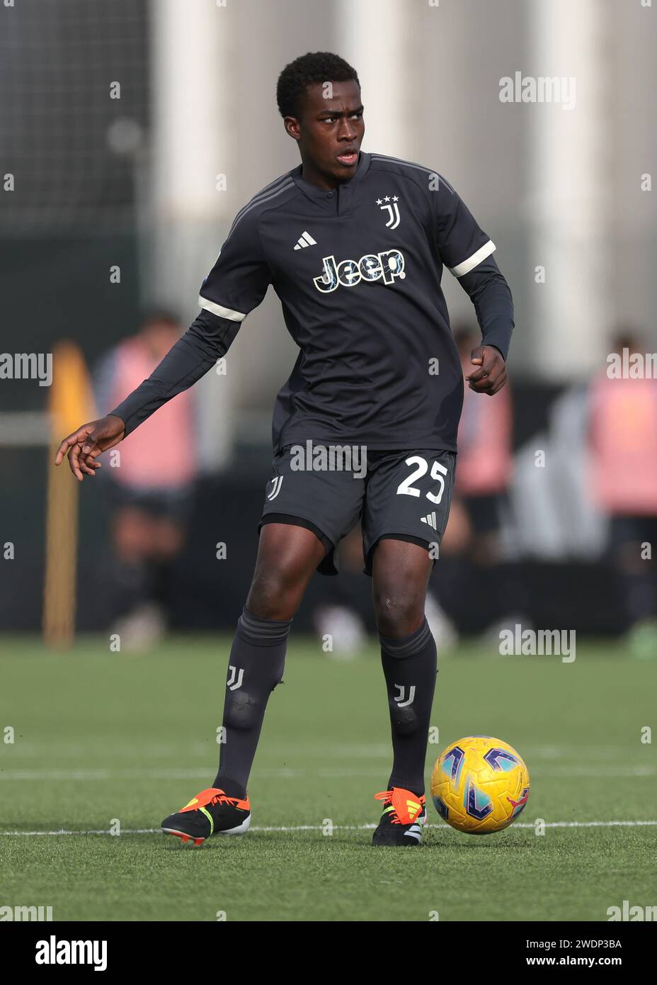 Primavera 2024 hi-res stock photography and images - Alamy