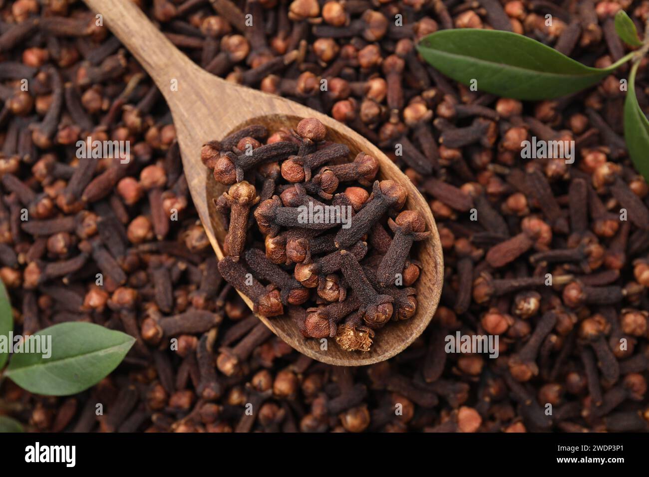 Many aromatic cloves, wooden spoon and green leaves as background, top ...