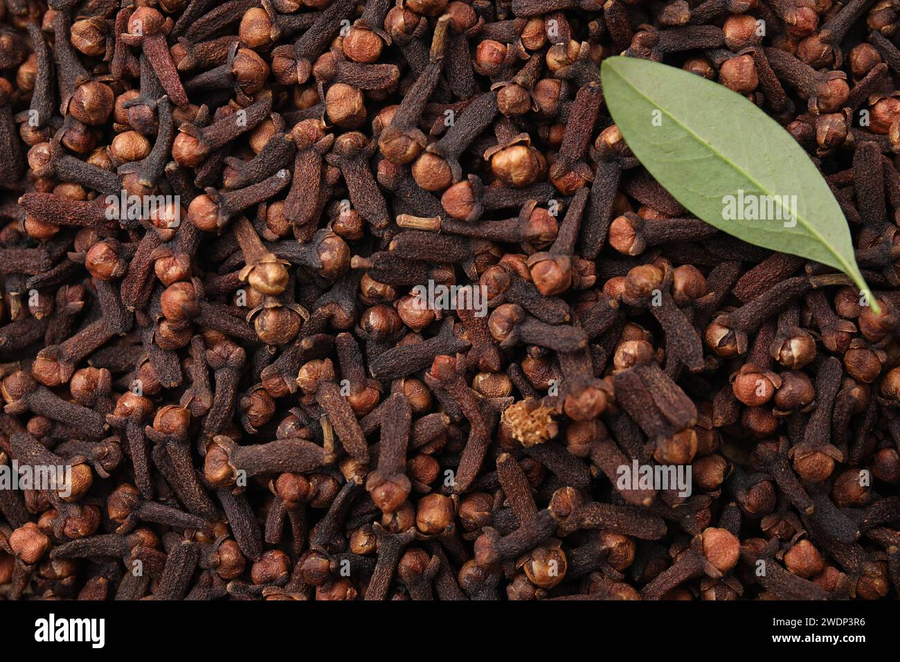 Many aromatic cloves and green leaf as background, top view. Space for ...