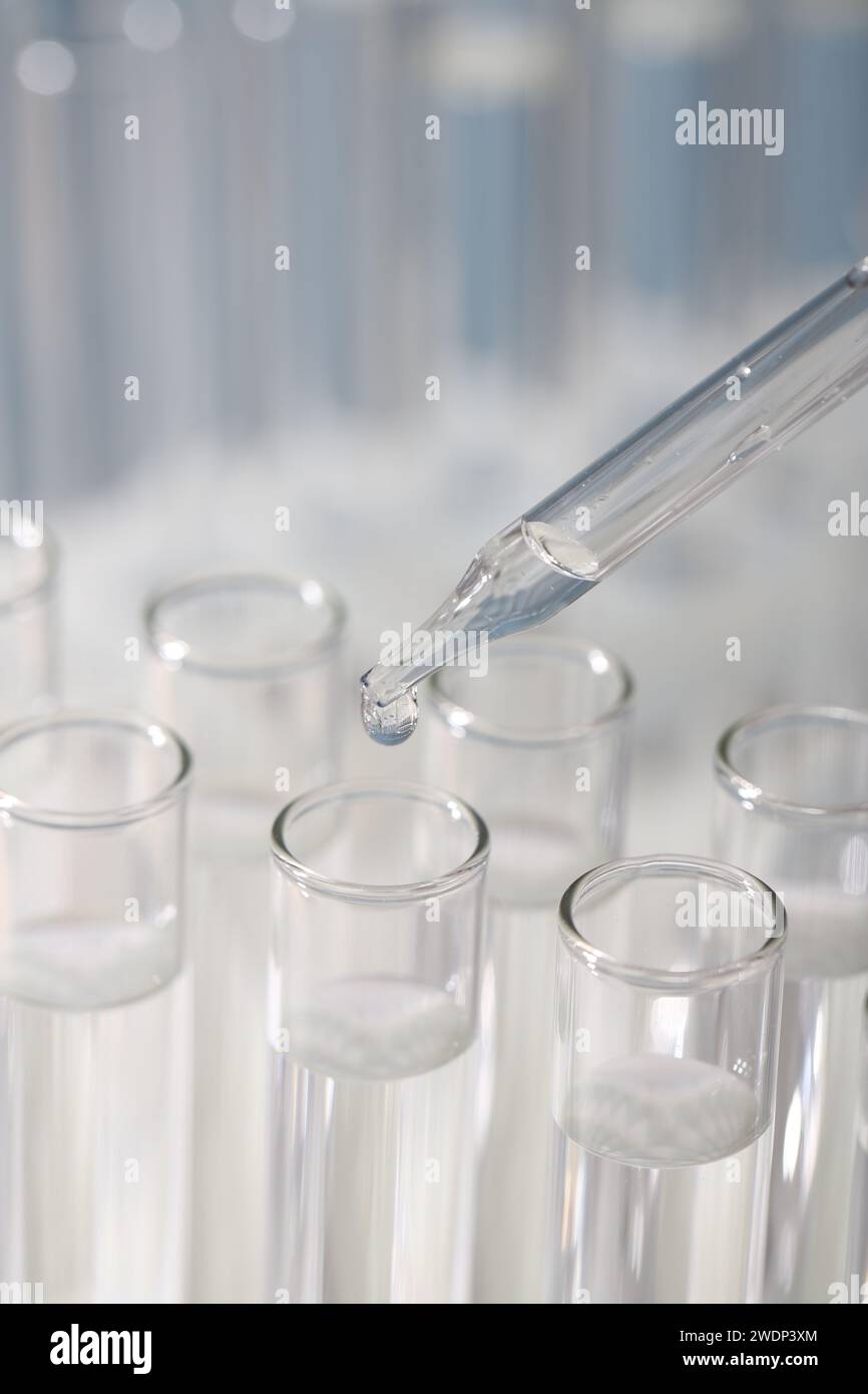 Laboratory analysis. Dripping liquid from pipette into glass test tube ...