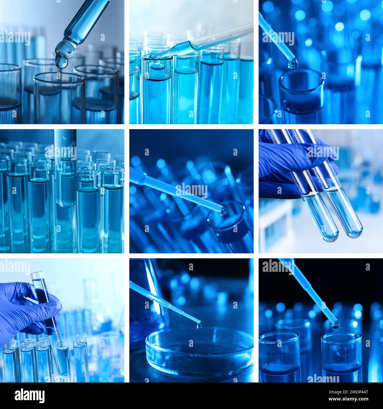 Laboratory glassware with samples and workers, collage Stock Photo - Alamy