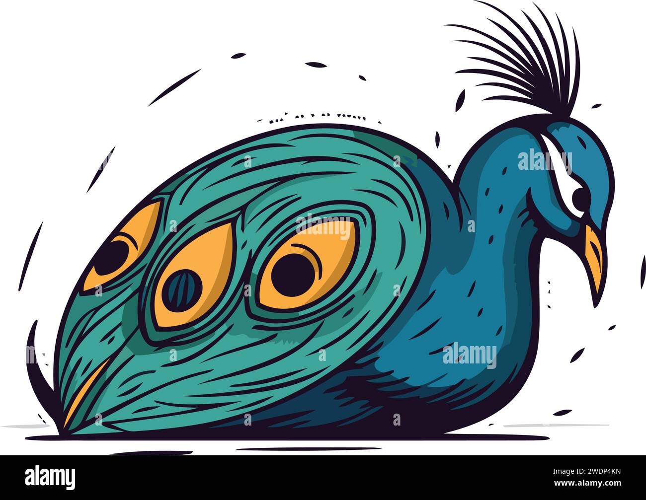 Peacock head feather Stock Vector Images - Alamy