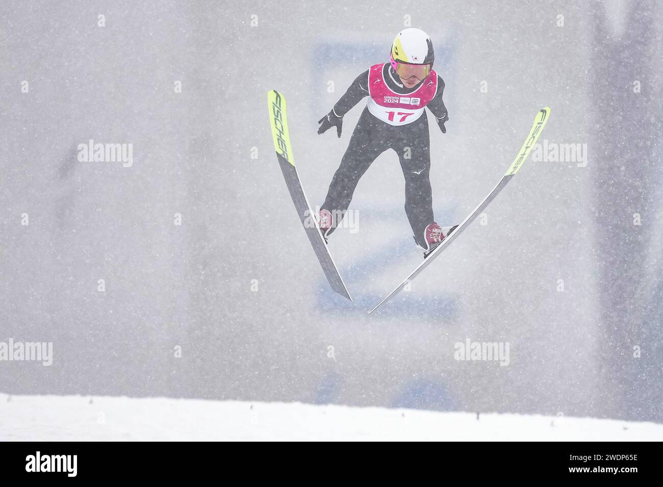 Alpensia Ski jumping centre, Pyeongchang, South Korea. 20th Jan, 2024 ...