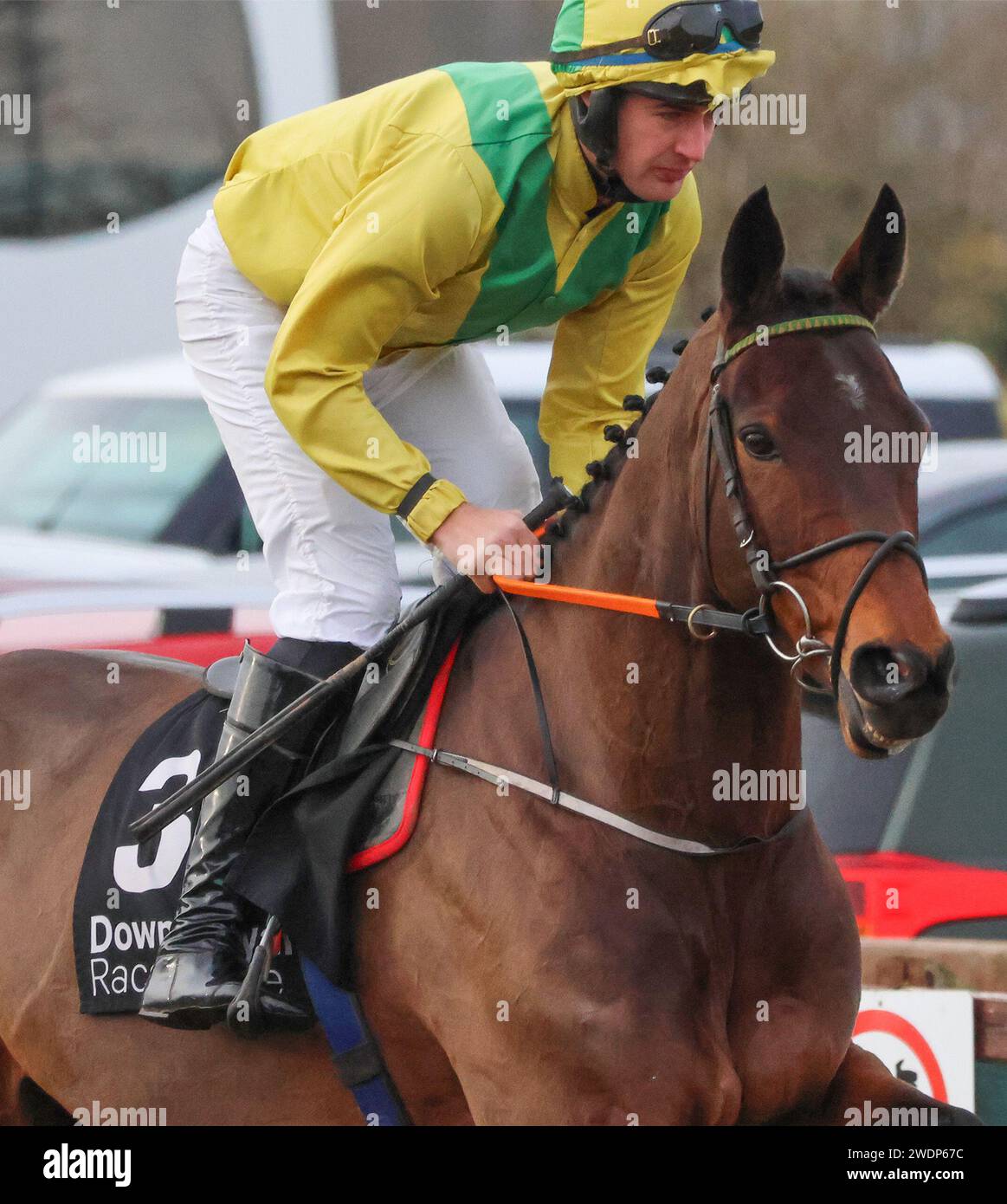 Trained by peter croke hi-res stock photography and images - Alamy