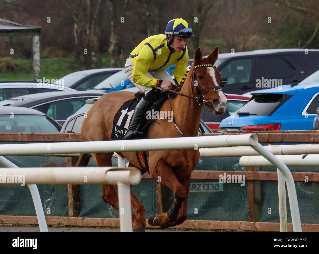 Down Royal Racecourse, Lisburn, Northern Ireland. 26th Dec 2023. Boxing ...