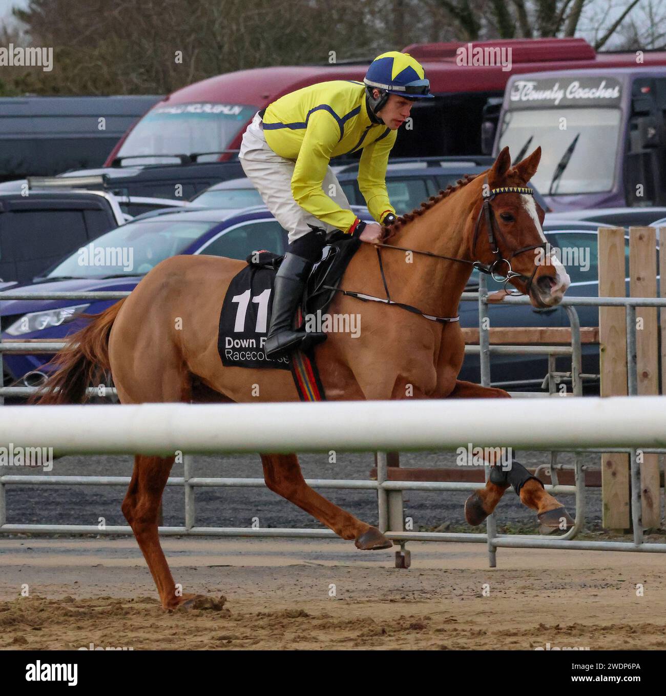 Down Royal Racecourse, Lisburn, Northern Ireland. 26th Dec 2023. Boxing ...