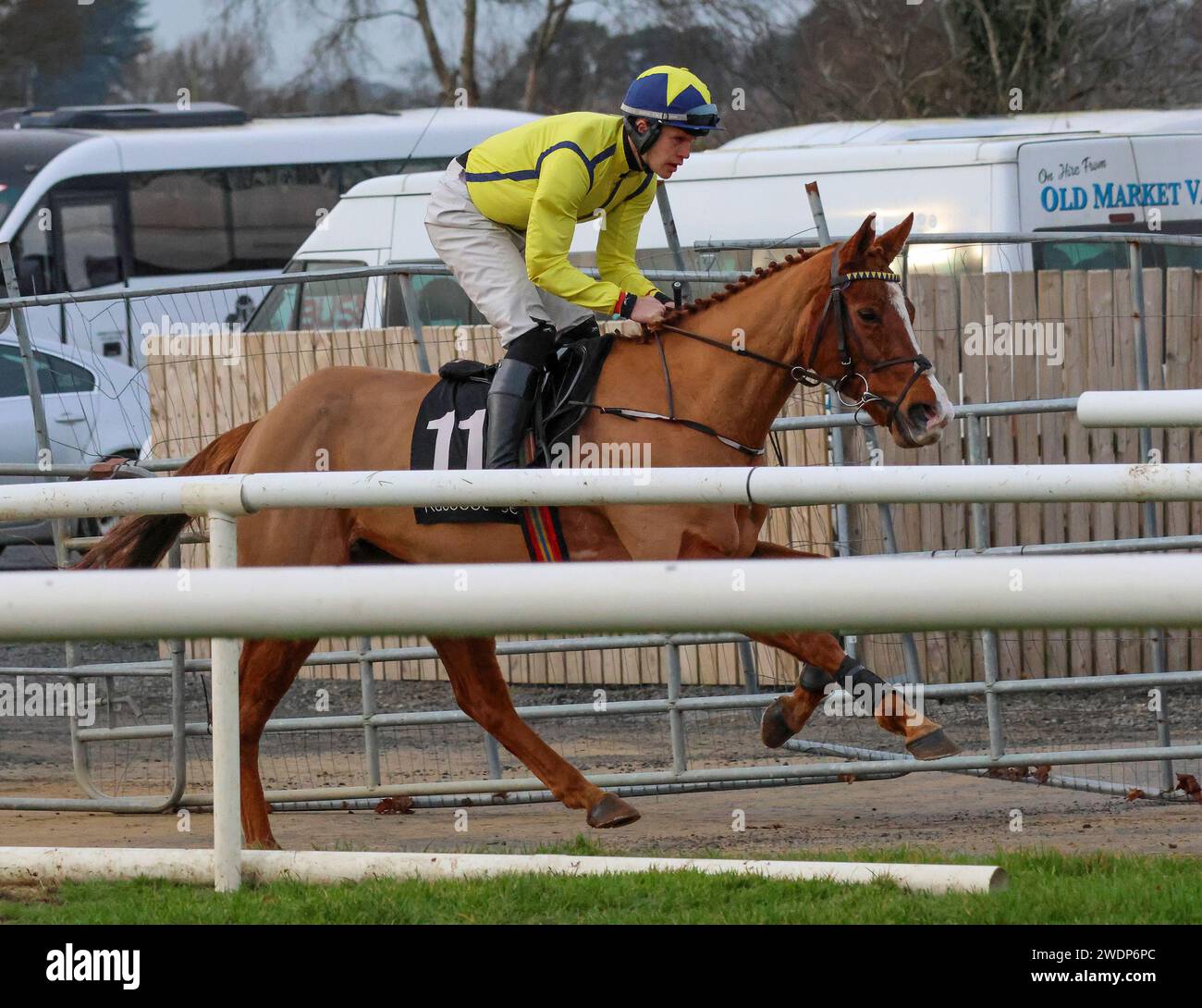 Irish jockey finian maguire hi-res stock photography and images - Alamy