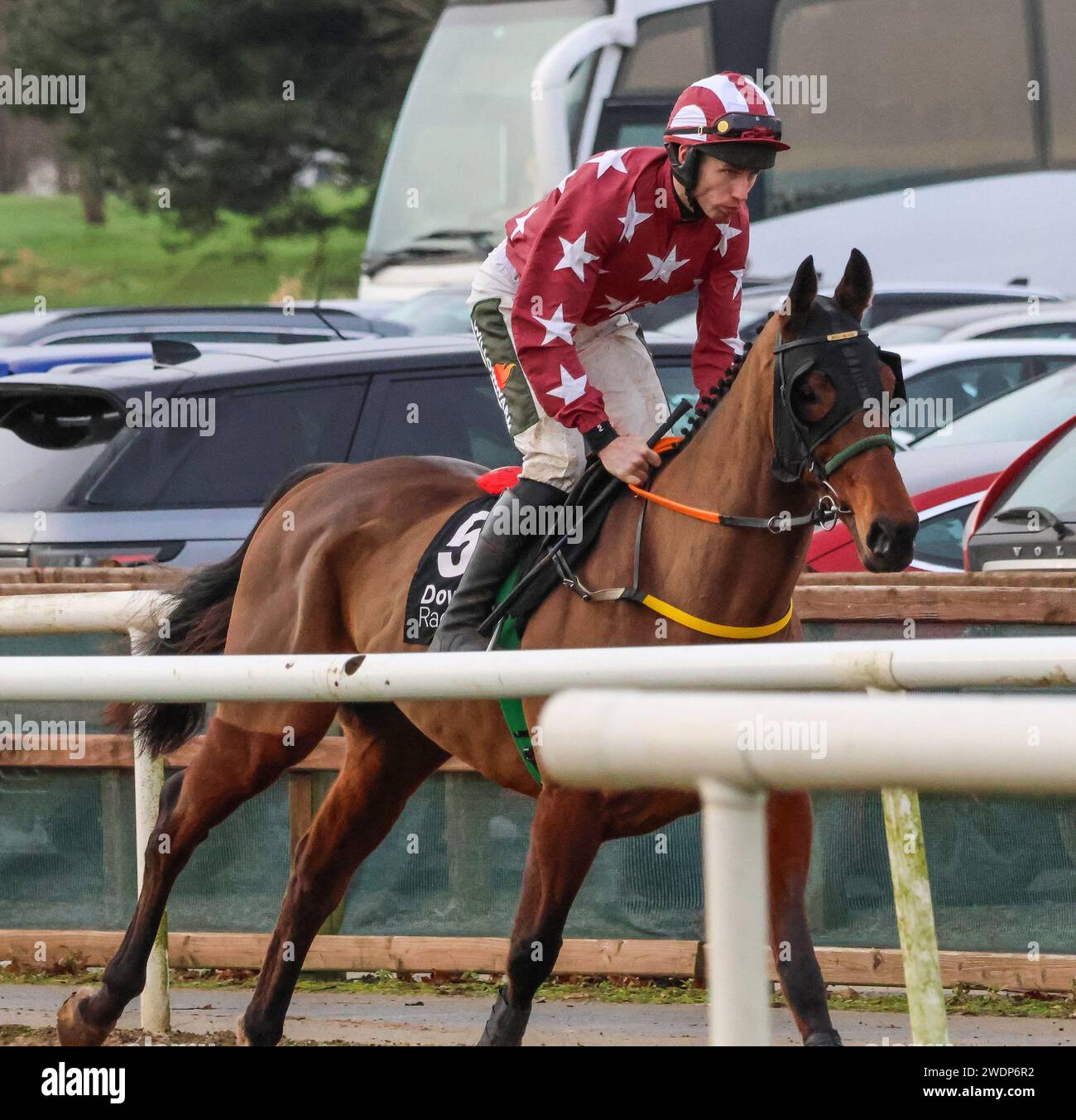Down Royal Racecourse, Lisburn, Northern Ireland. 26th Dec 2023. Boxing ...