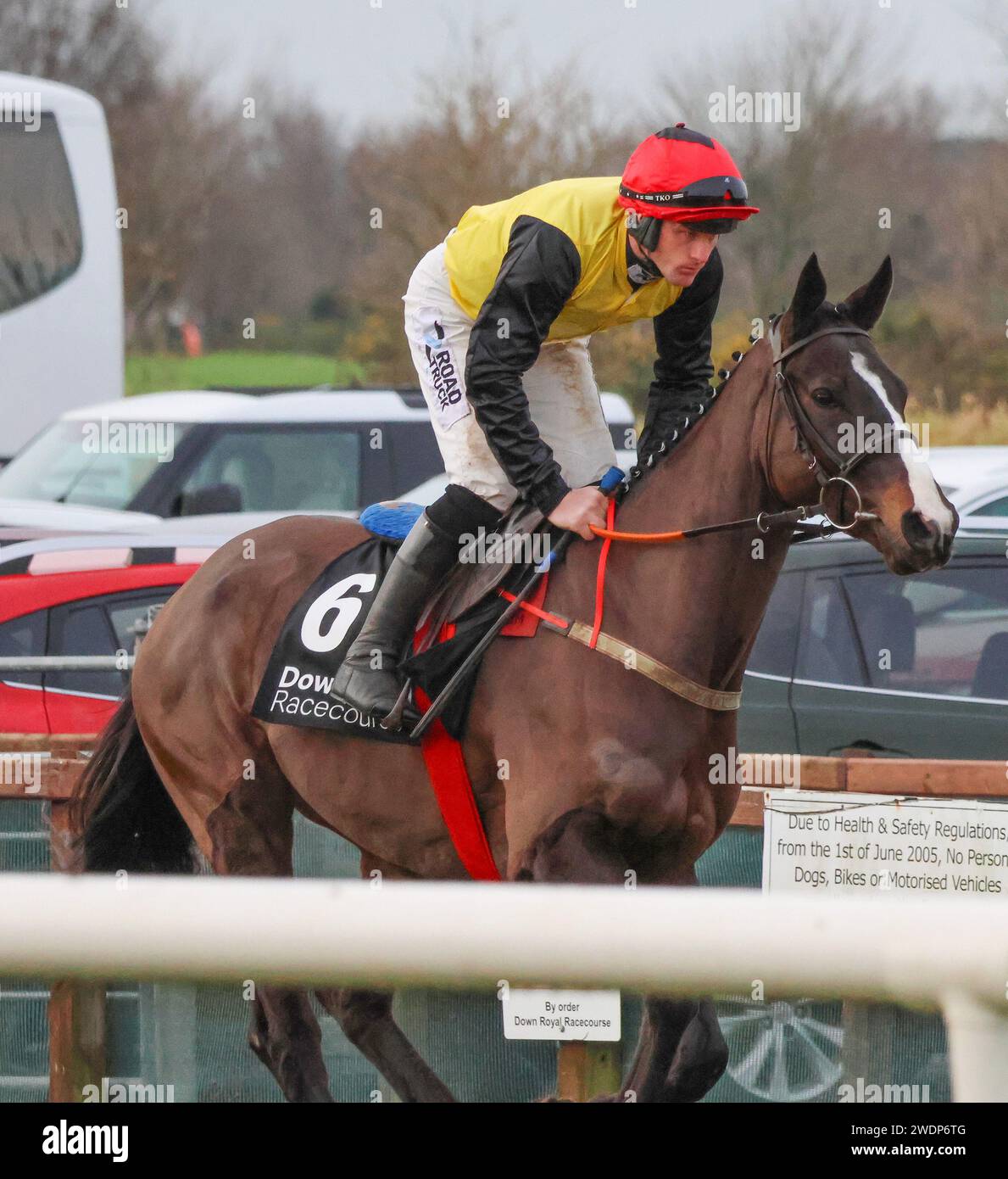 Down Royal Racecourse, Lisburn, Northern Ireland. 26th Dec 2023. Boxing ...