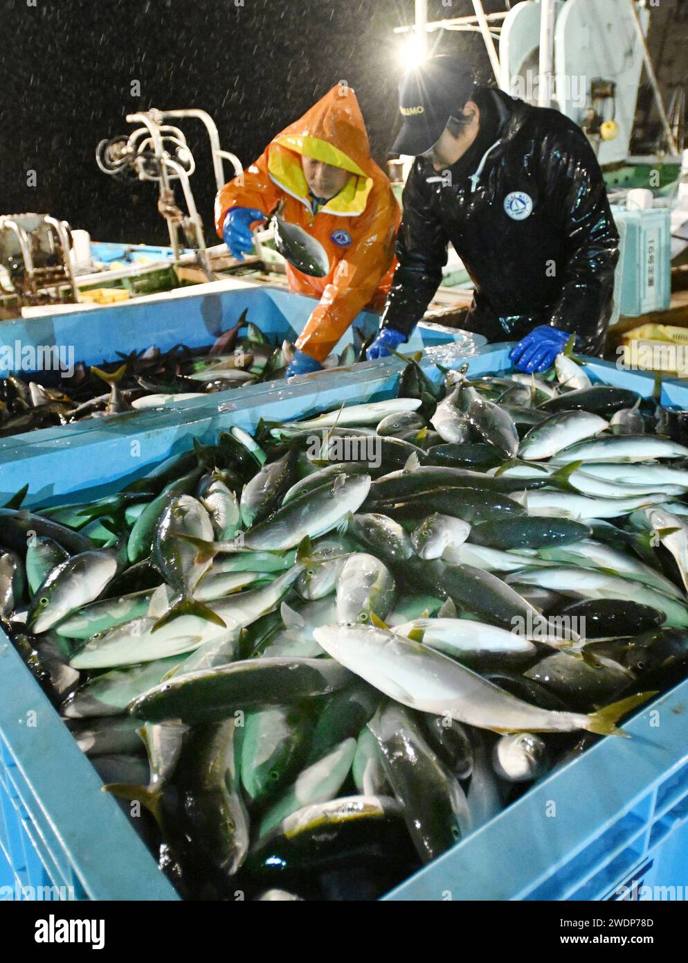 Fish are unloaded at Takojima Gyoko for the first time since the ...