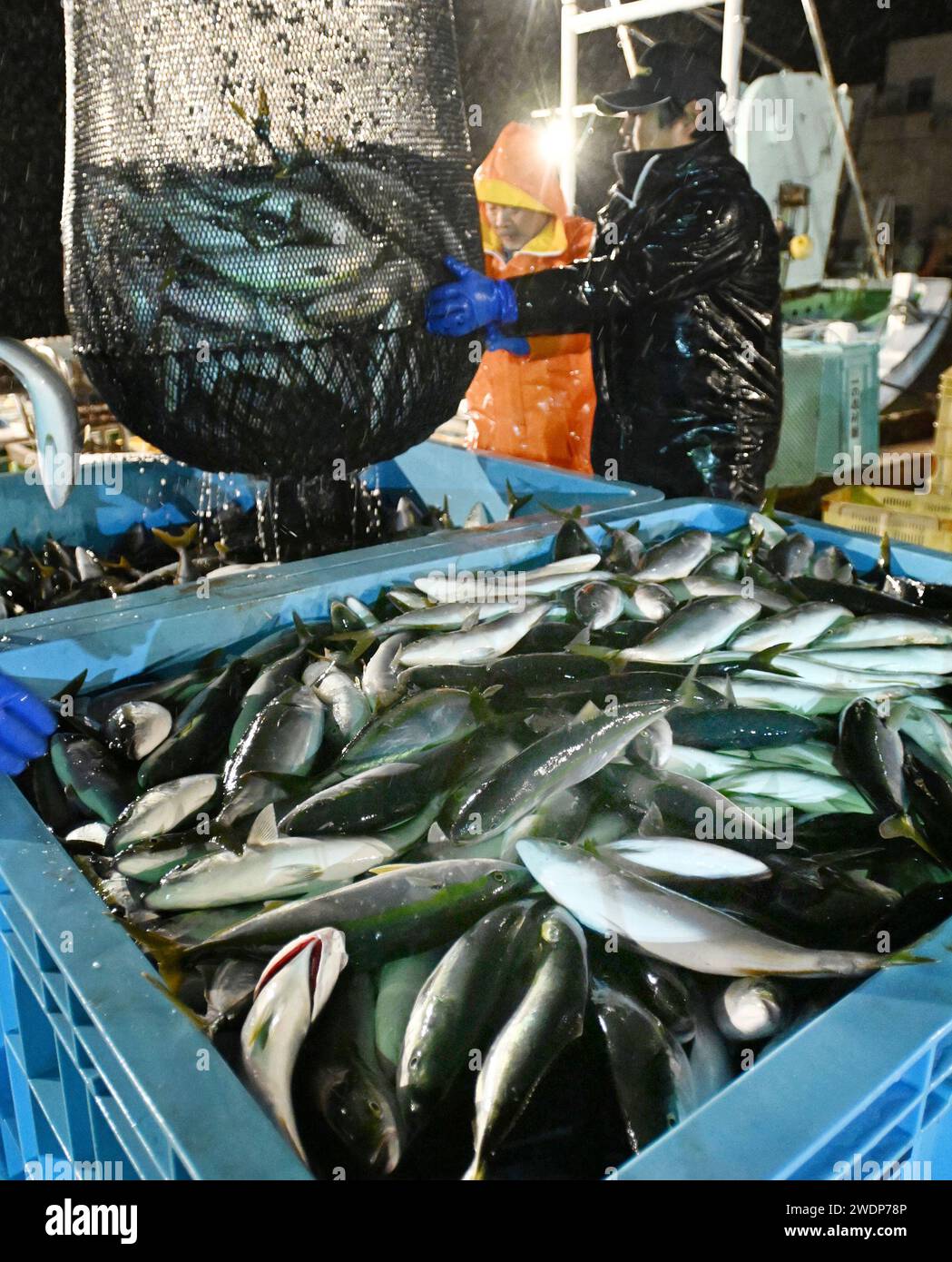 Fish are unloaded at Takojima Gyoko for the first time since the ...