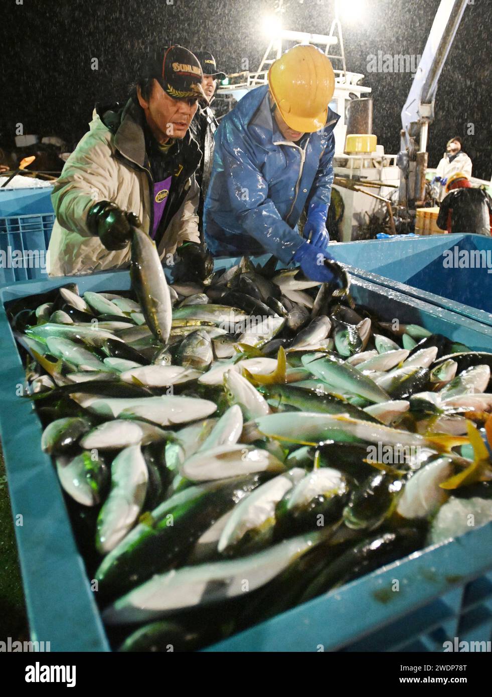 Fish are unloaded at Takojima Gyoko for the first time since the ...