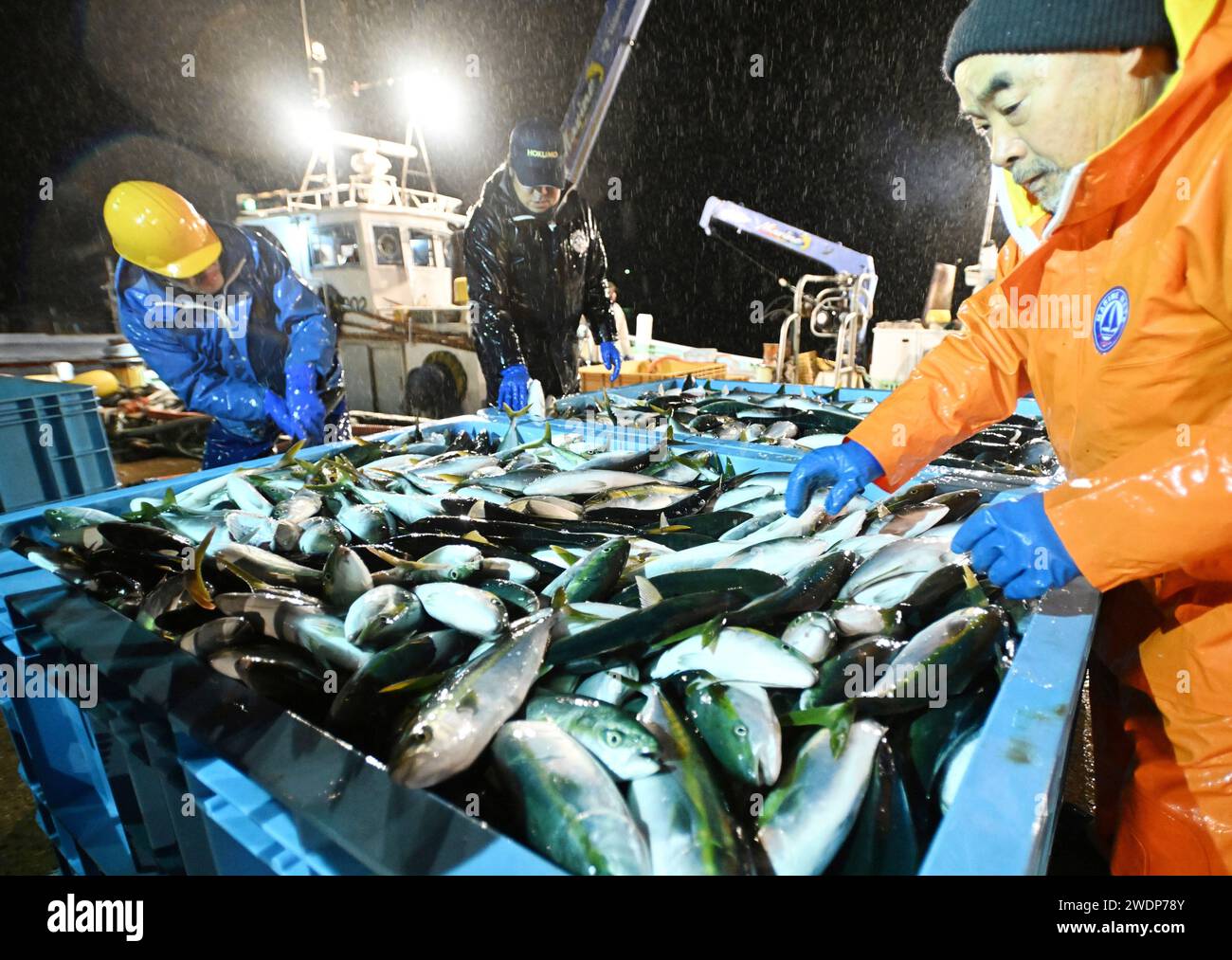 Fish are unloaded at Takojima Gyoko for the first time since the ...