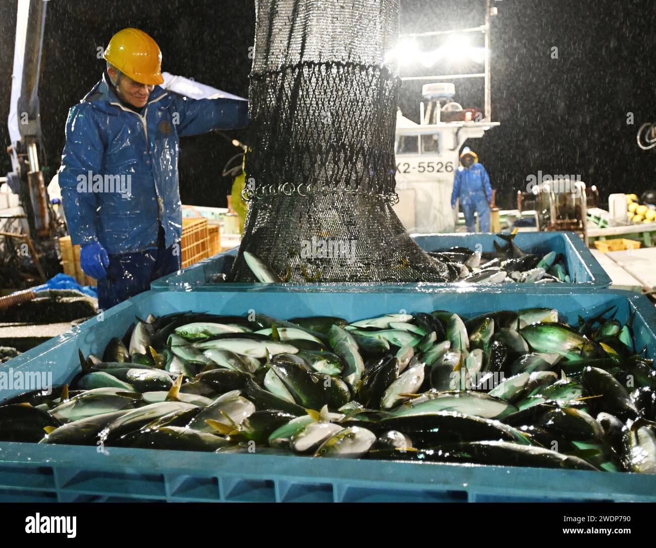 Fish are unloaded at Takojima Gyoko for the first time since the ...