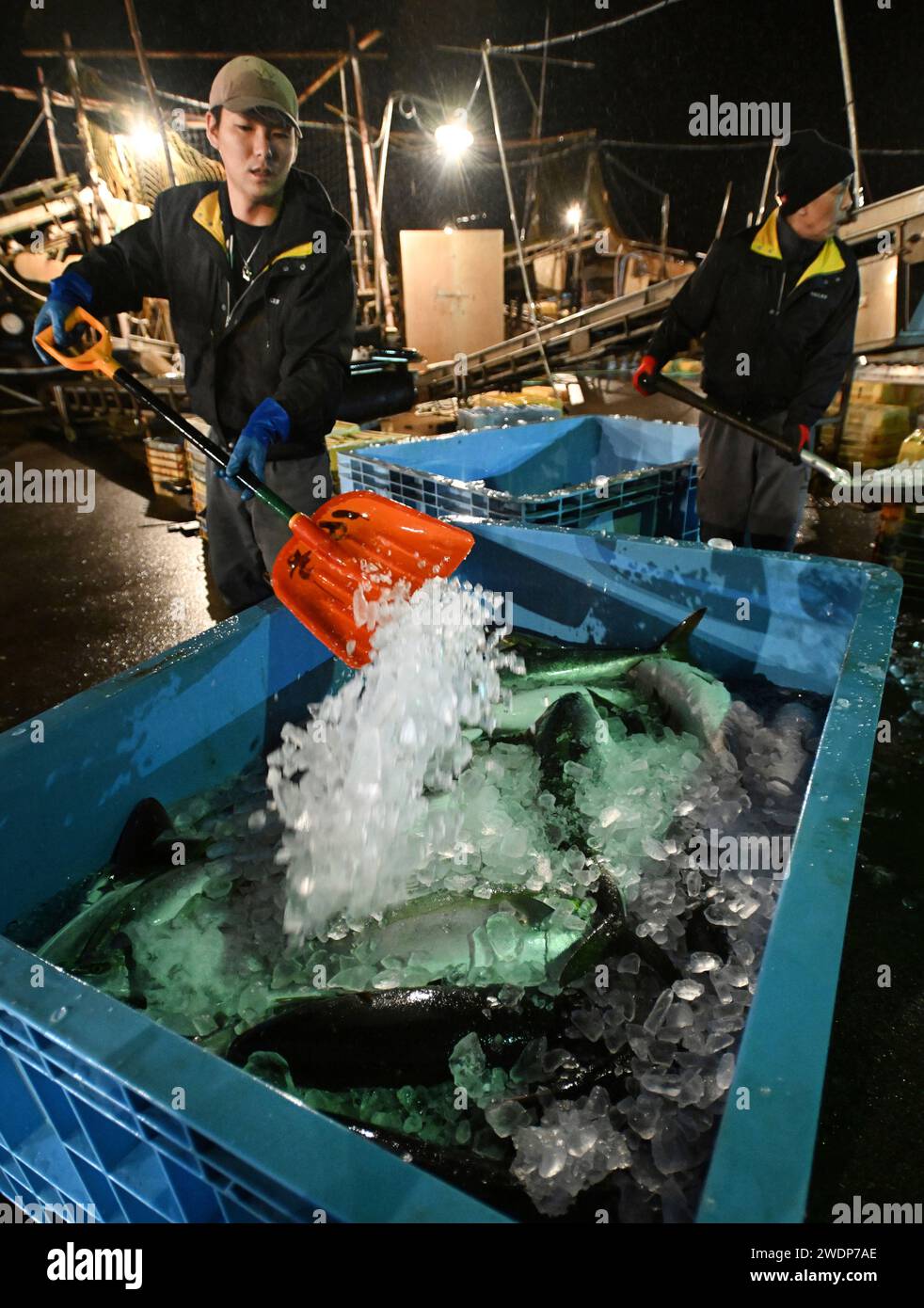 Fish are unloaded at Takojima Gyoko for the first time since the ...