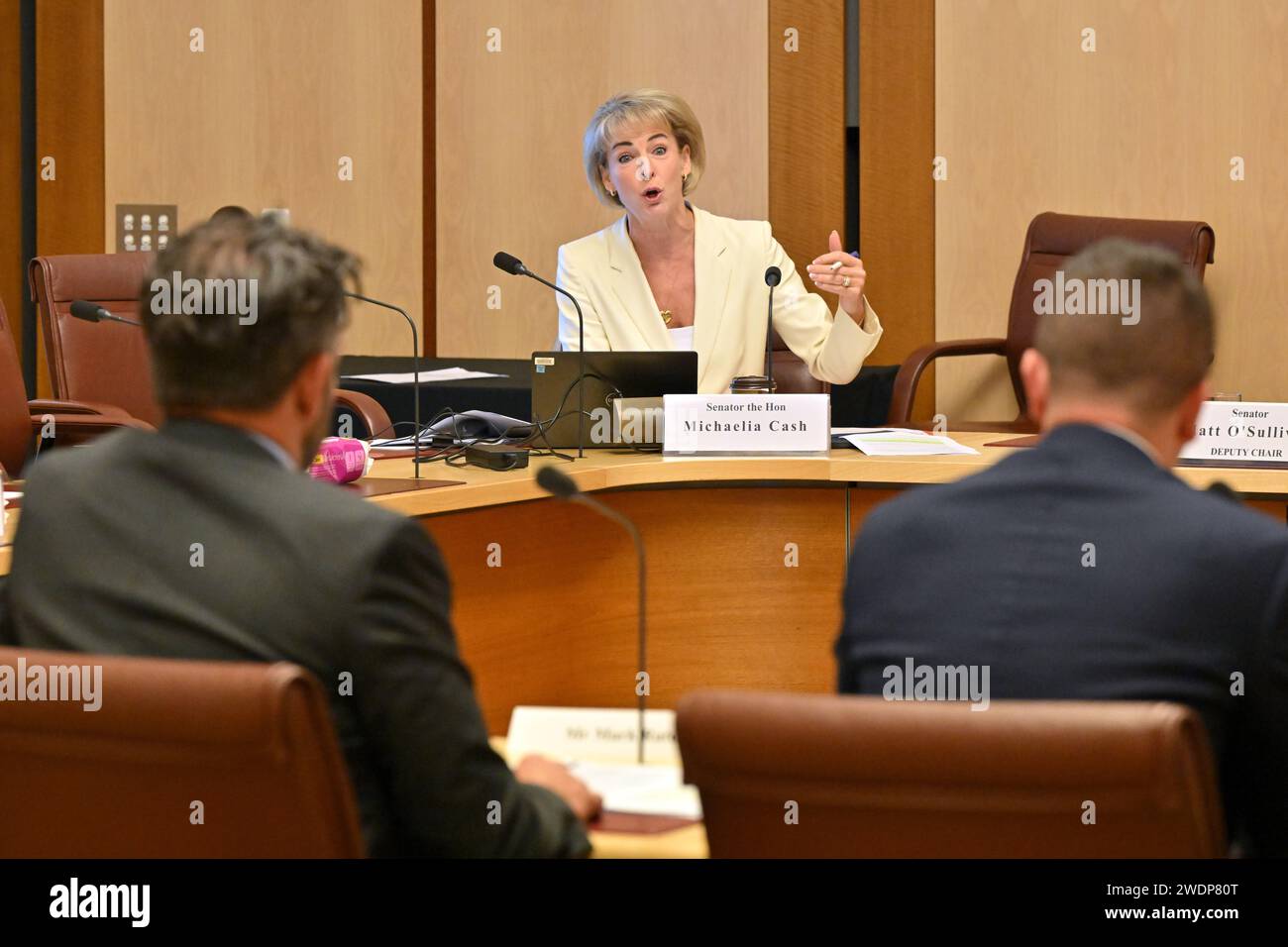 Canberra, Australia. 22nd Jan, 2024. Shadow Attorney General Michaelia ...