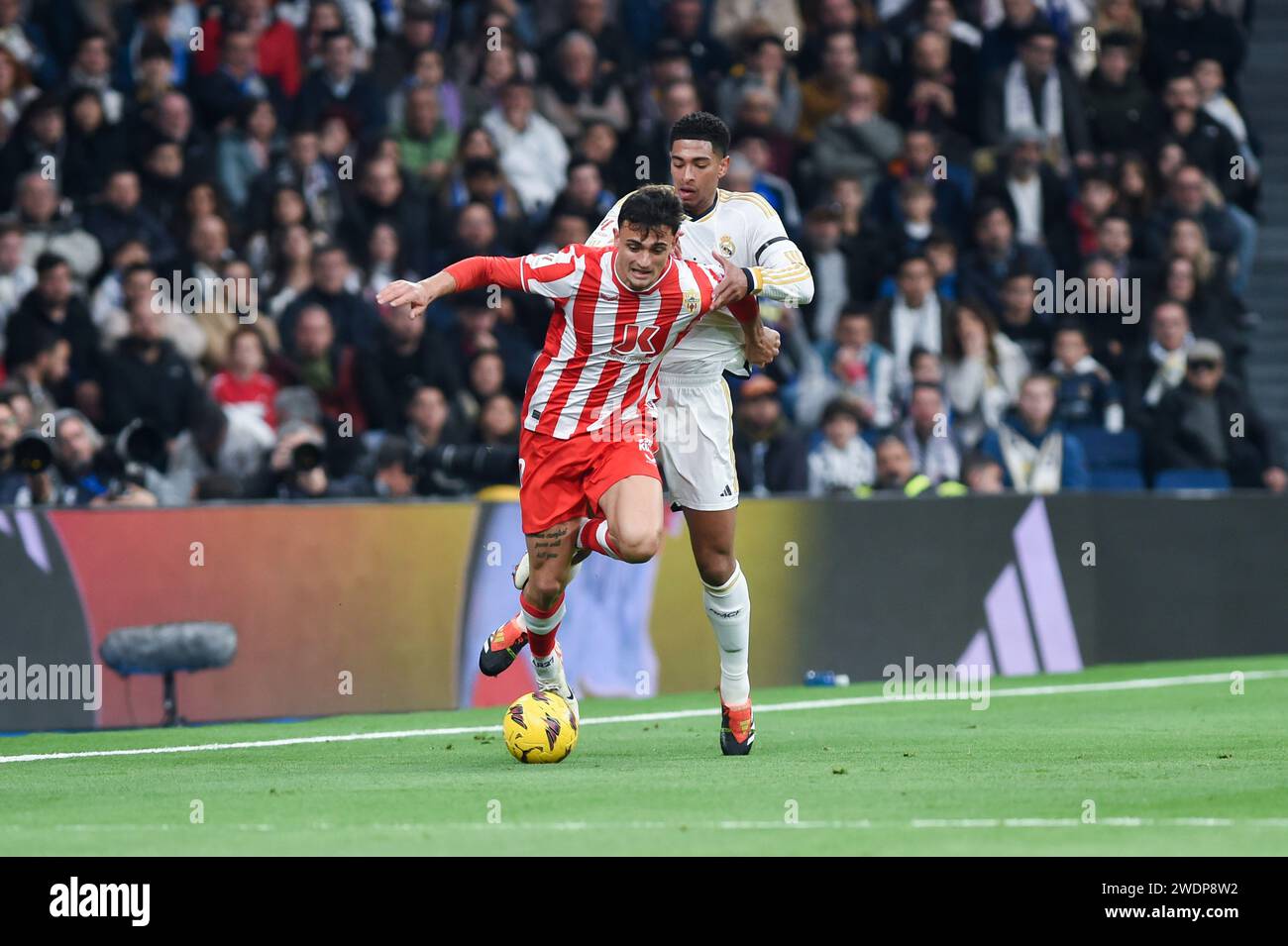 Madrid, Spain. 21st Jan, 2024. Jude Bellingham (back) of Real Madrid ...